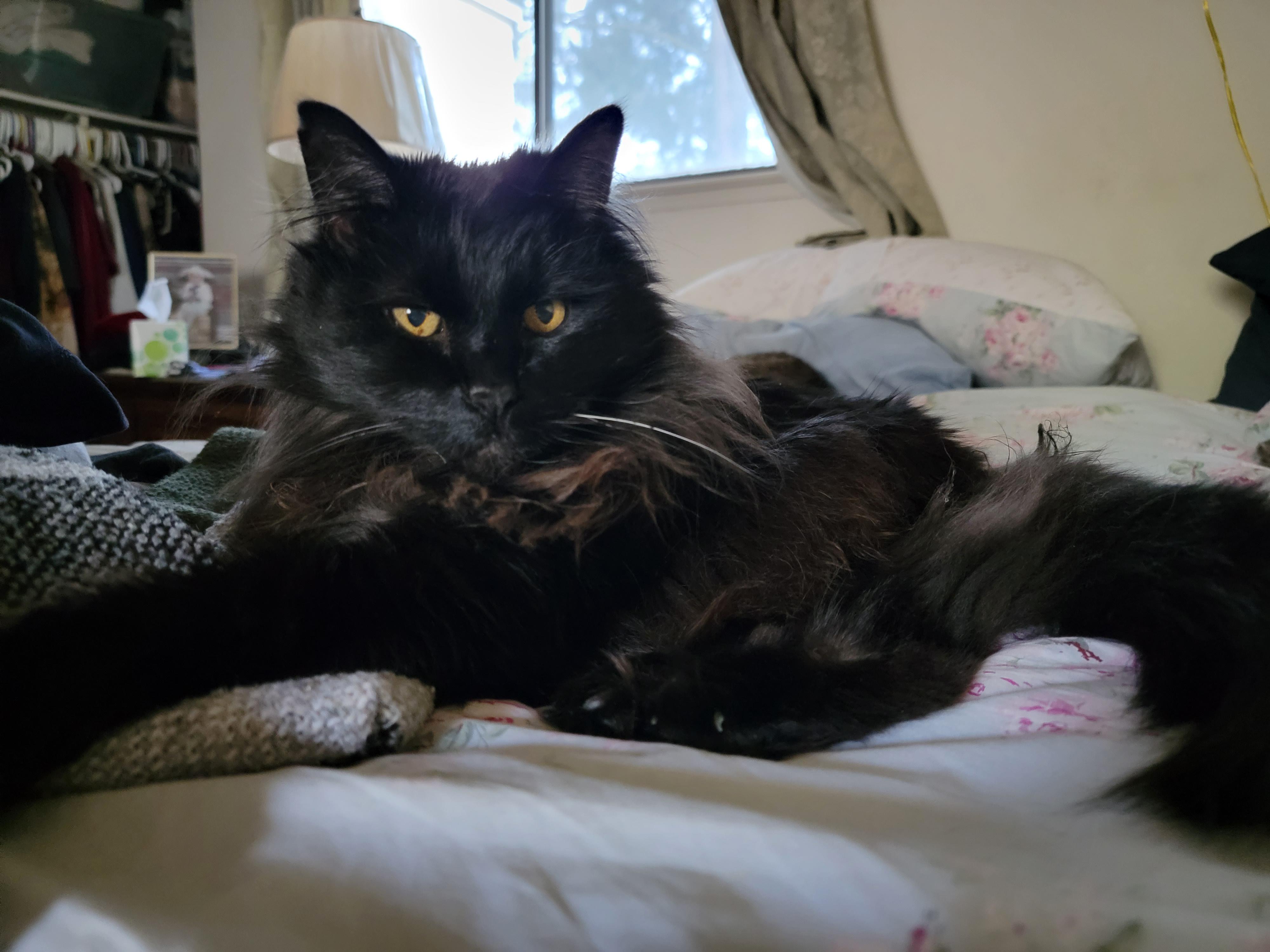 Judgement from the void | Scrolller