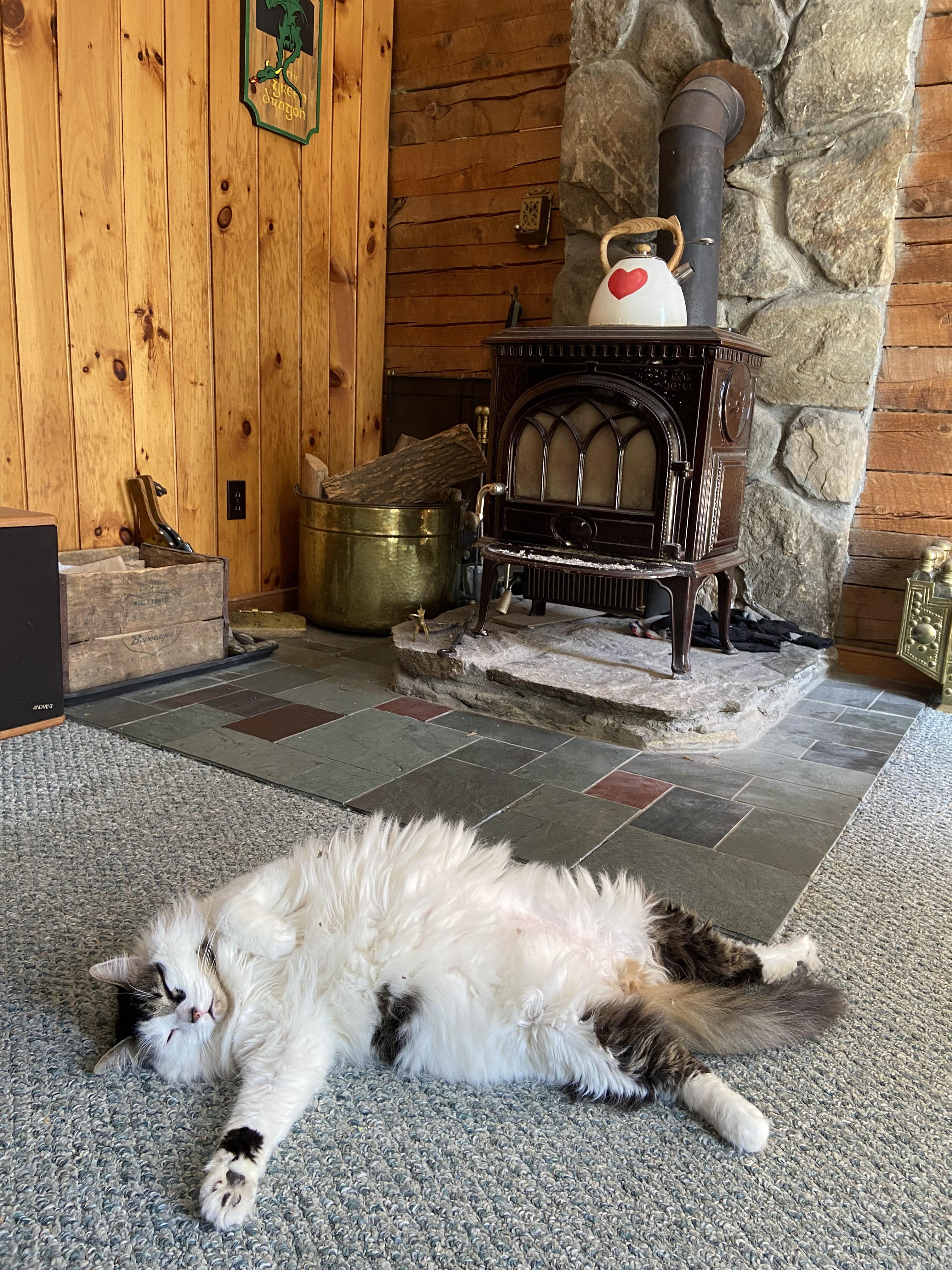 Screw the groundhog, THIS is how you know spring is coming | Scrolller