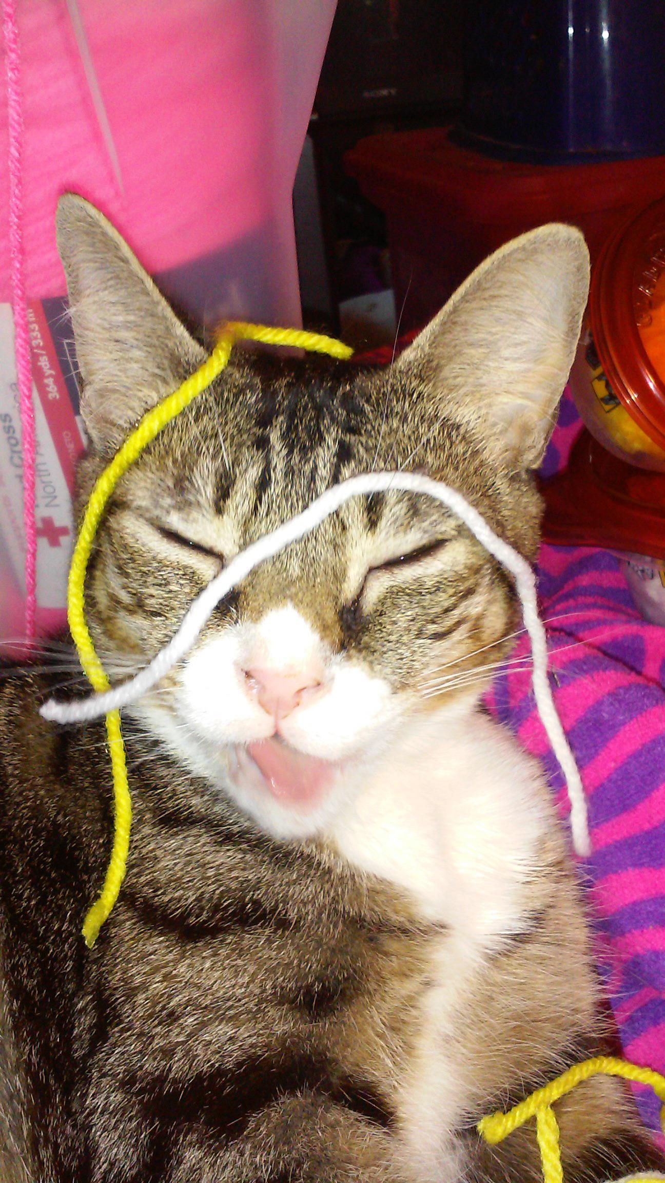 Derpy playtime | Scrolller