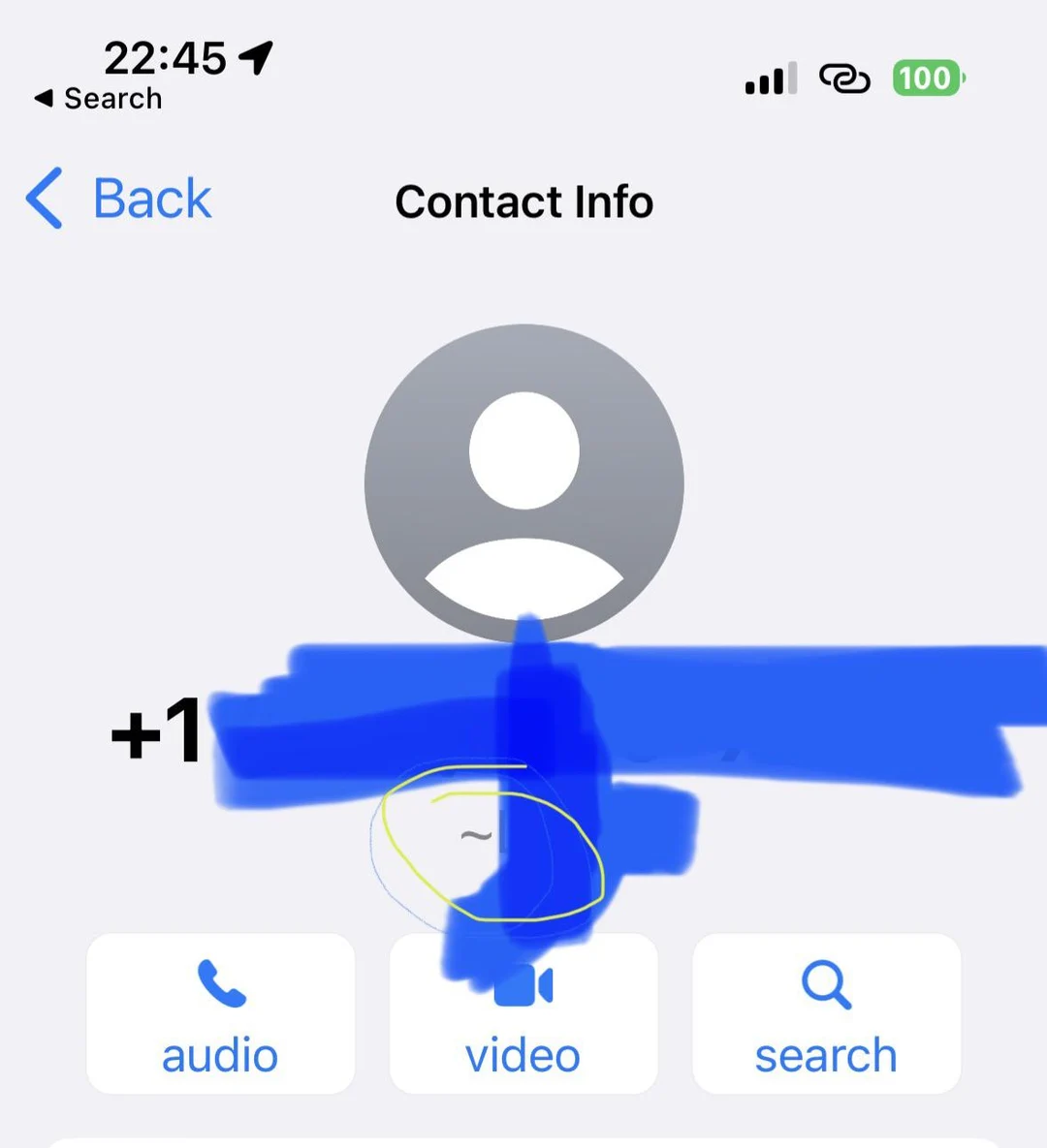 WhatsApp about section question | Scrolller