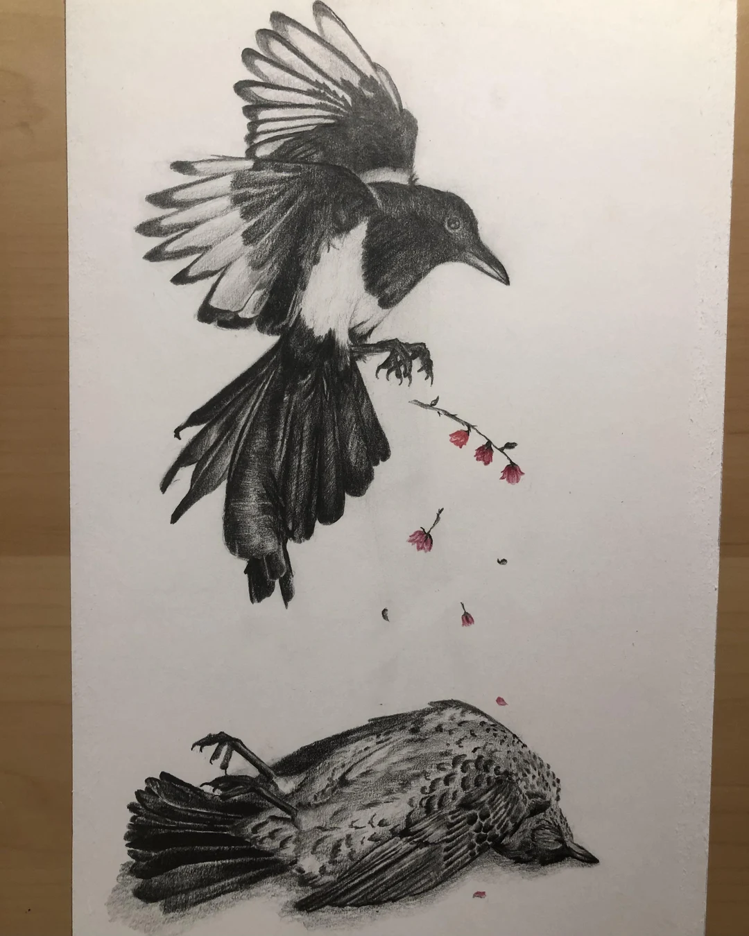 Dead Bird, Isabela Yabe, graphite on paper, 2021. | Scrolller