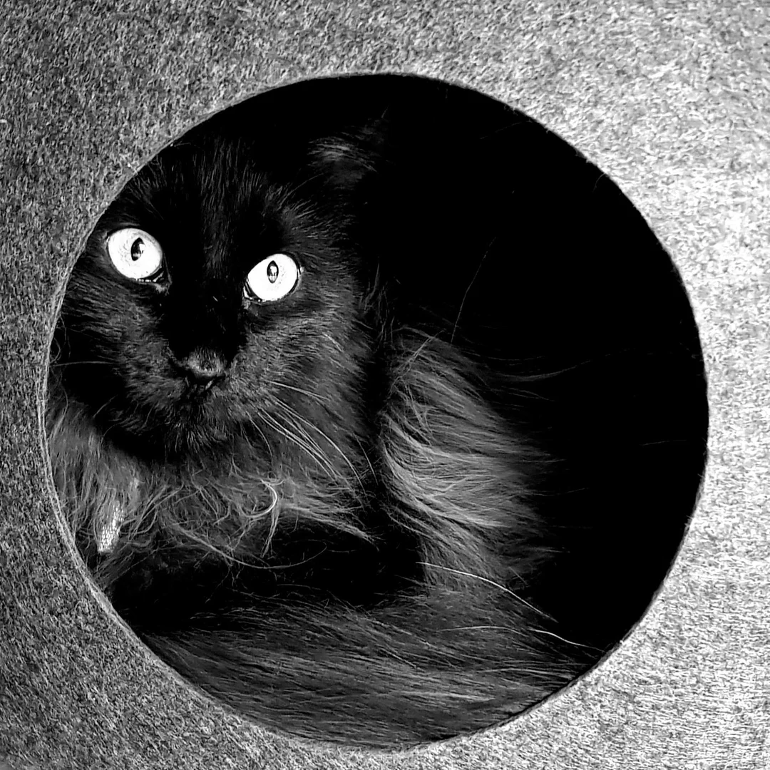 the void! | Scrolller