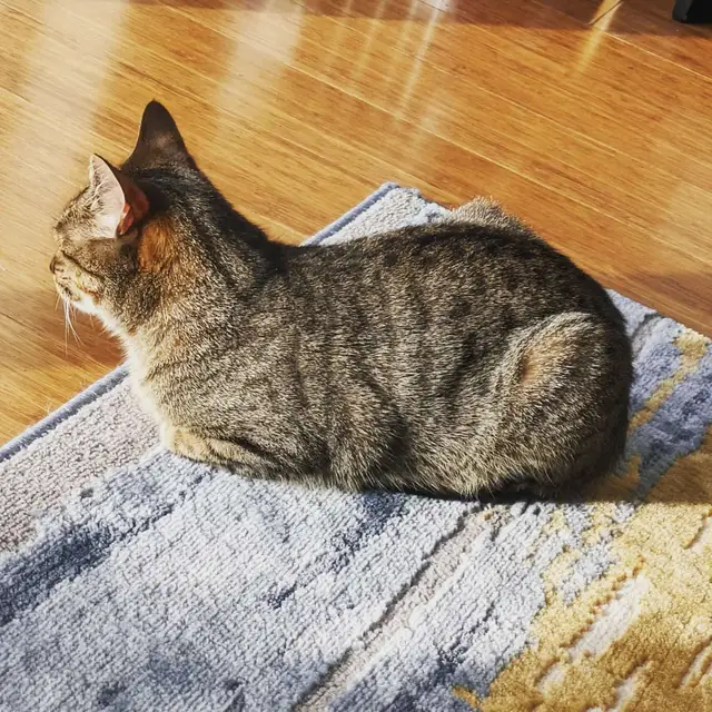 Freshly Baked Loaf 🍞in the sun 🌞 | Scrolller