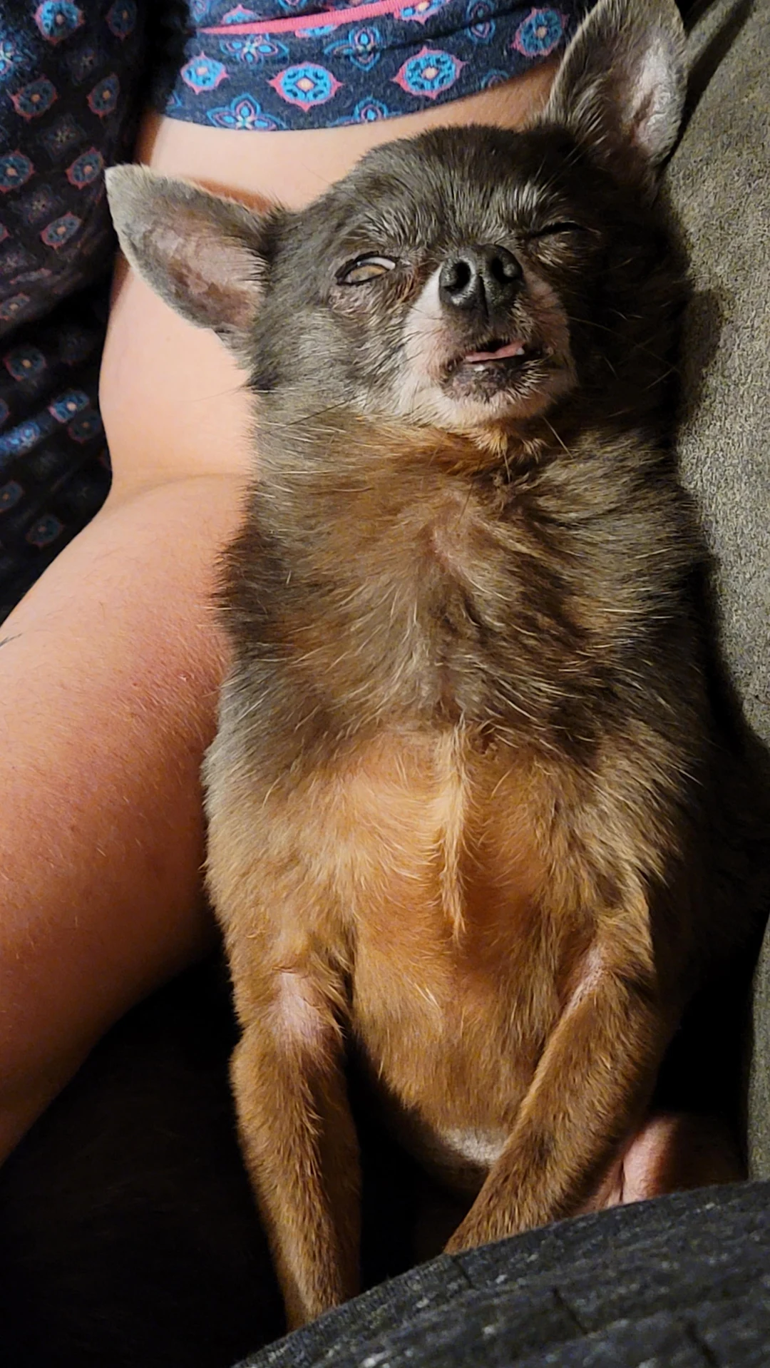 Relax. He's just napping. | Scrolller