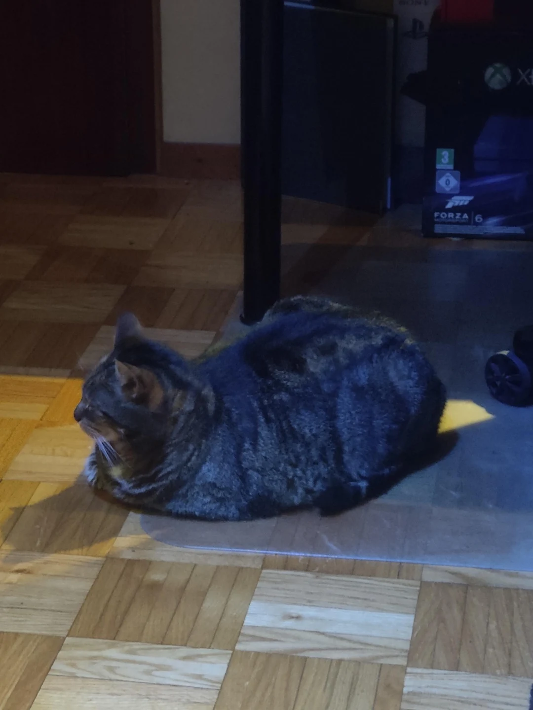 Big loaf | Scrolller