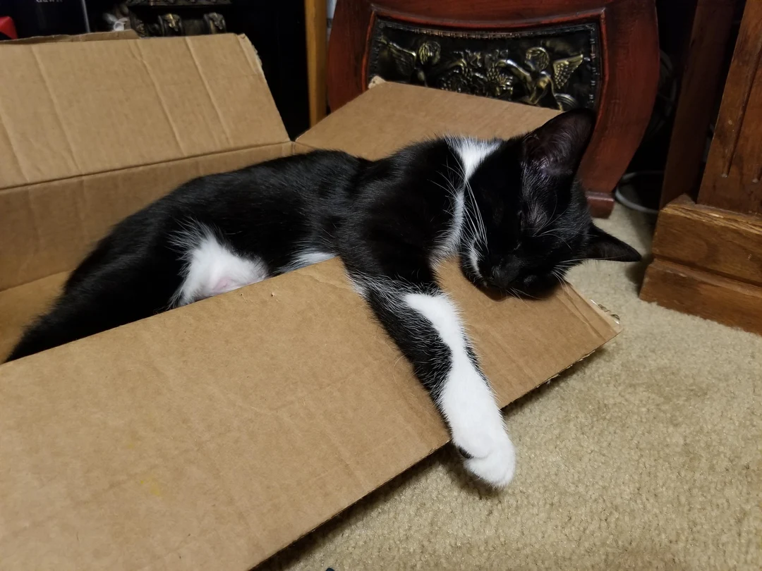 The sleep trap has worked successfully. | Scrolller