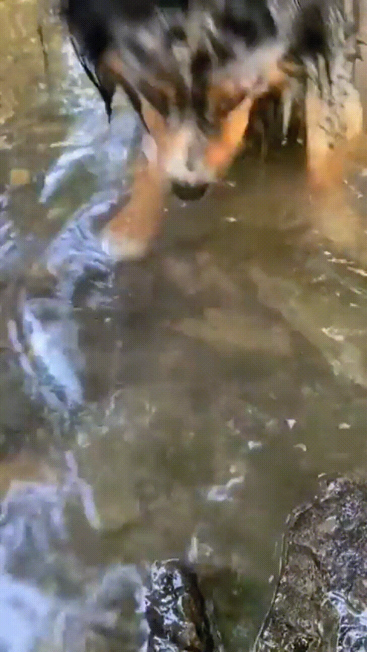 Look! I can make them bubbles | Scrolller