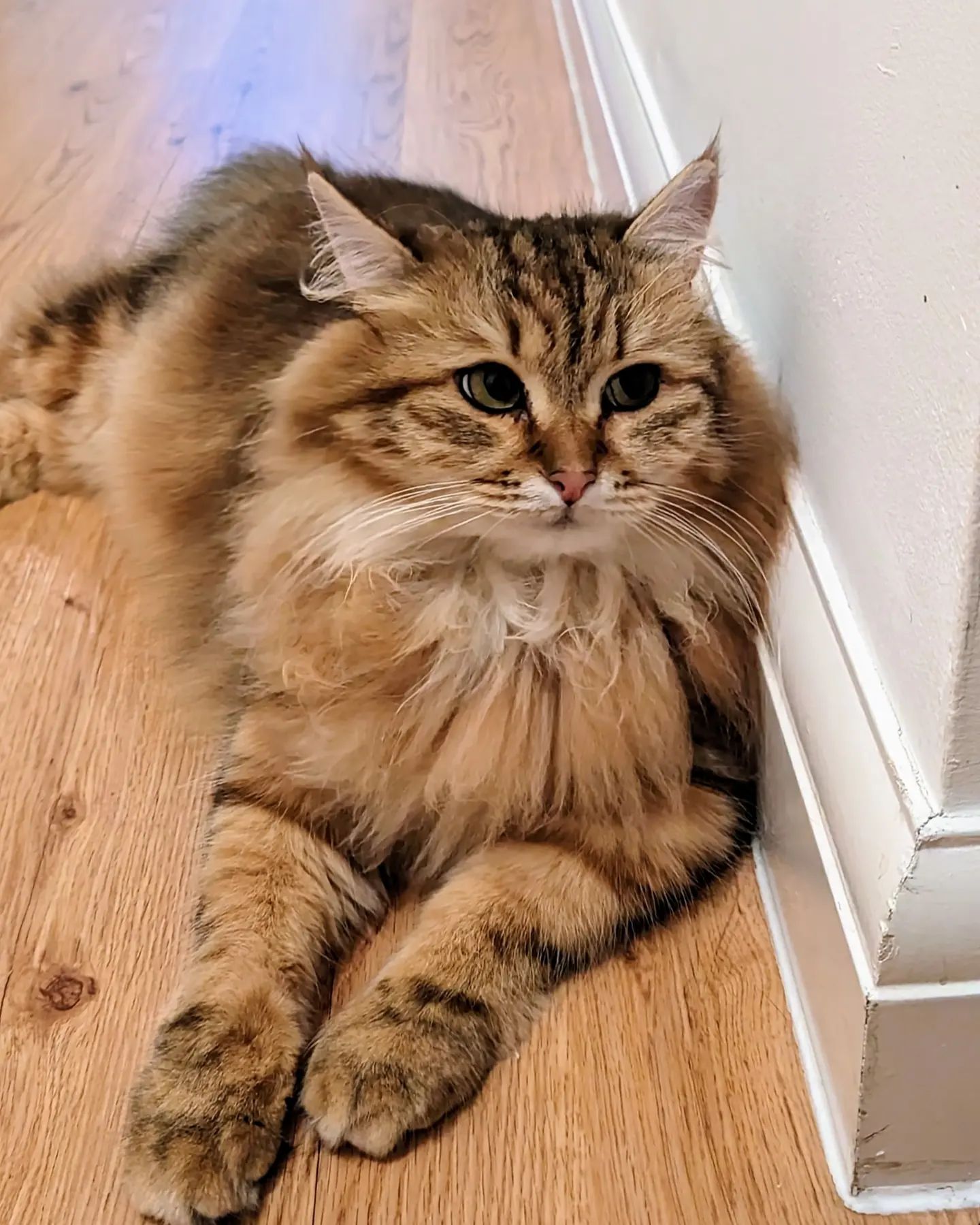 Princess Amelia from home ️ | Scrolller