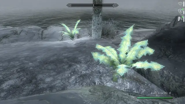 Discover more like Skyrim: Did you know there are giant Nirnroots in far North Eastern Solstheim ...