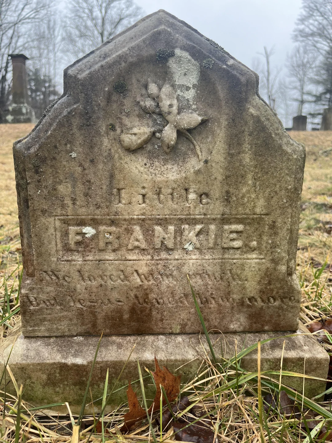 Little Frankie | Scrolller