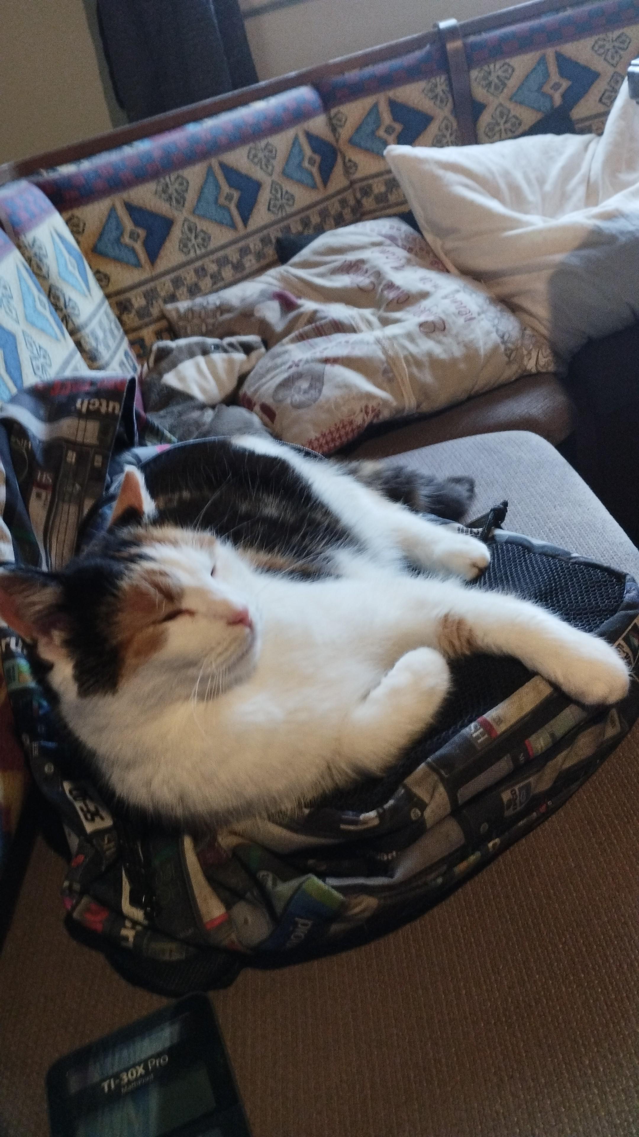 When my teacher asks why I'm late | Scrolller