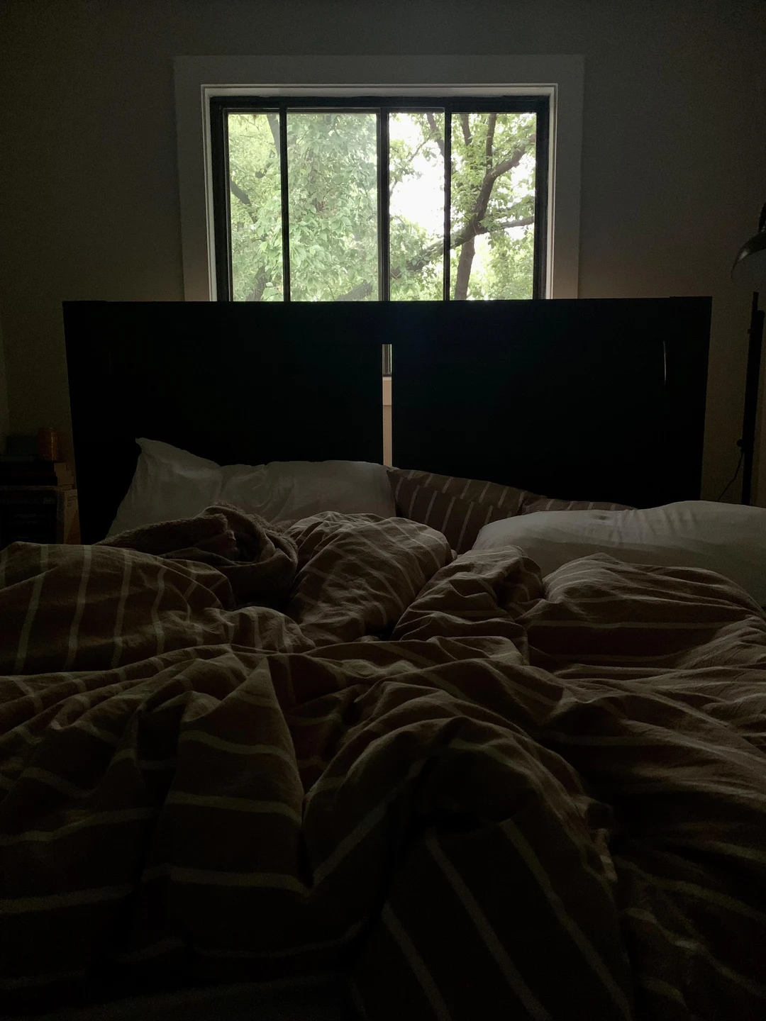 not the best photo but my big bed during a thunderstorm is a very cozy place. | Scrolller