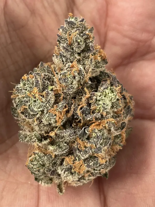 Strain: Double Dipper | Scrolller