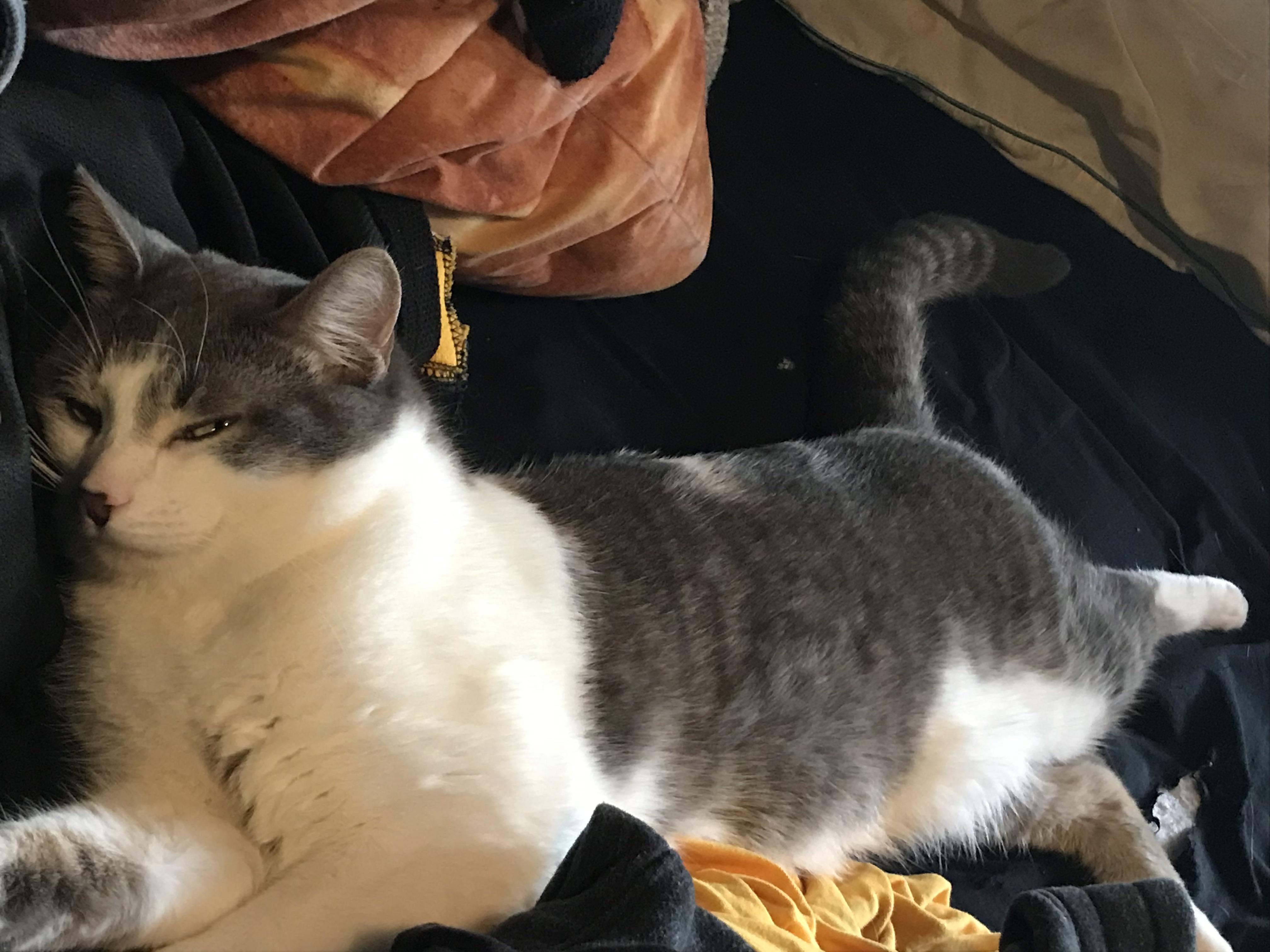 A evil looking sleeper | Scrolller