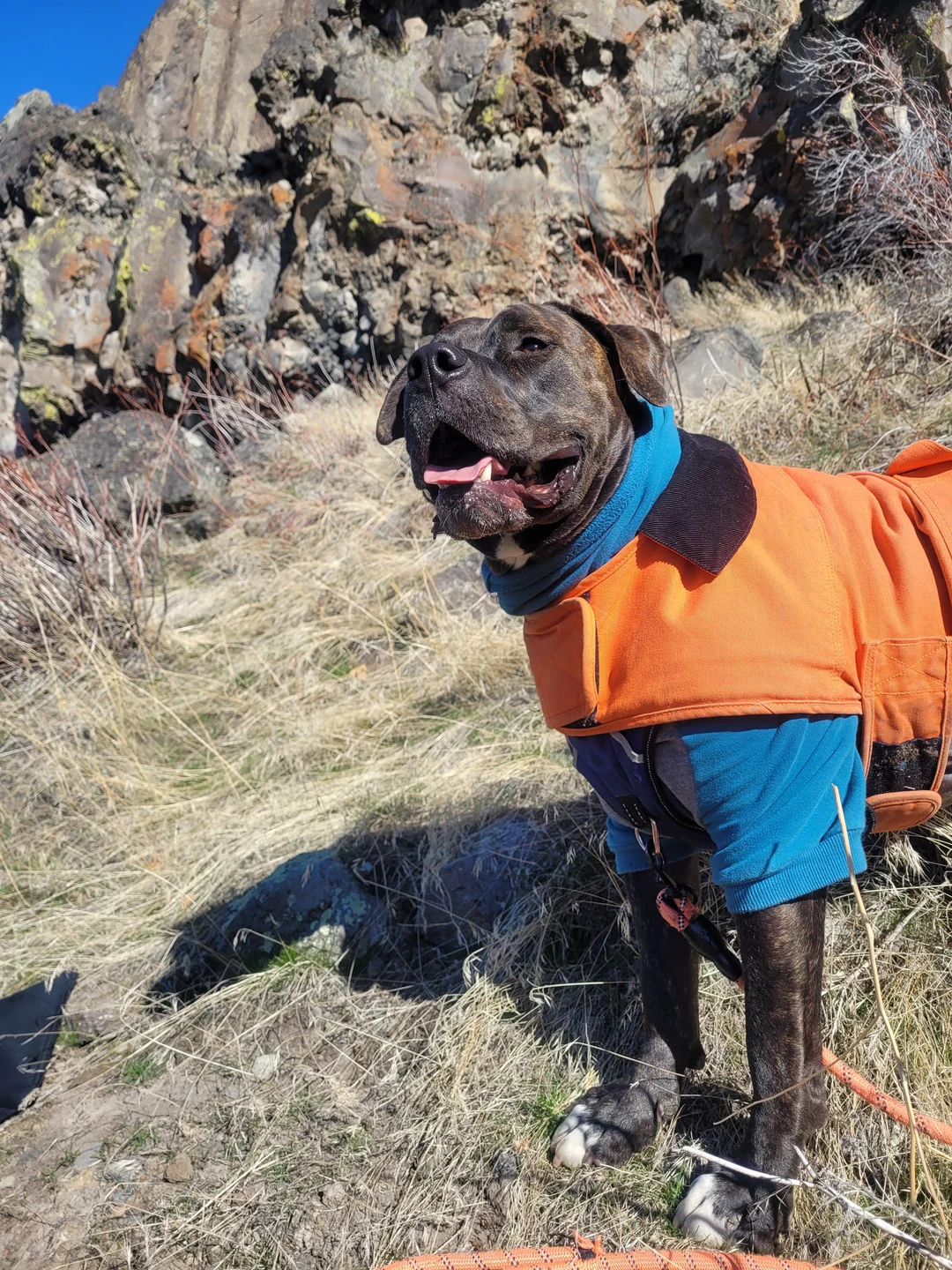 Climbing mountains. | Scrolller