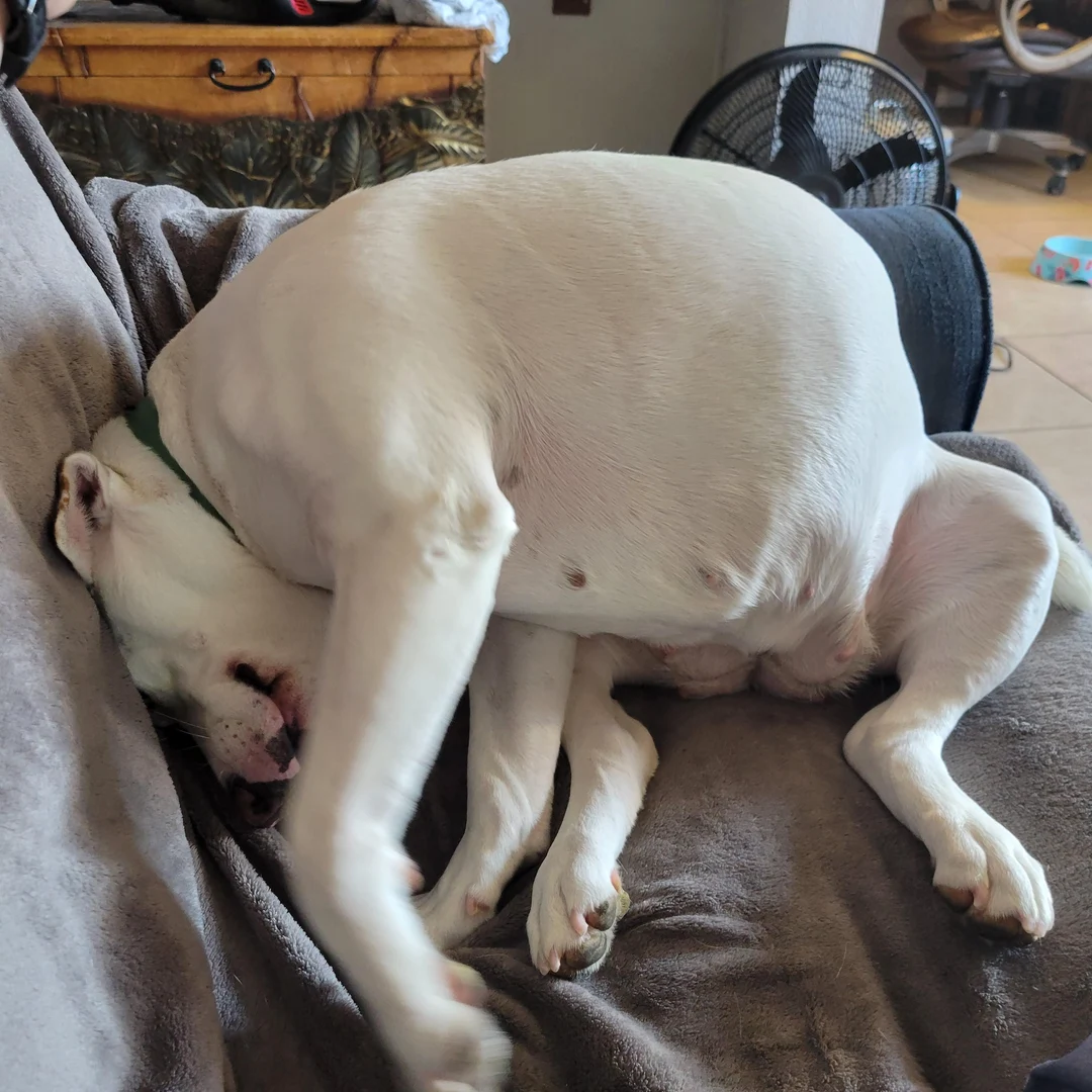 how is this comfortable? | Scrolller