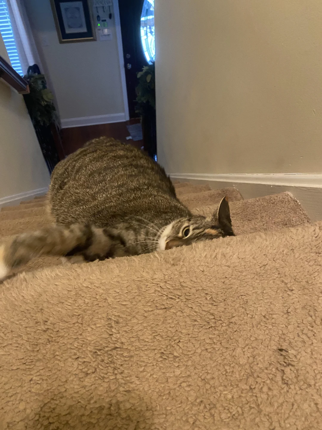 This weirdo playing hide n seek | Scrolller