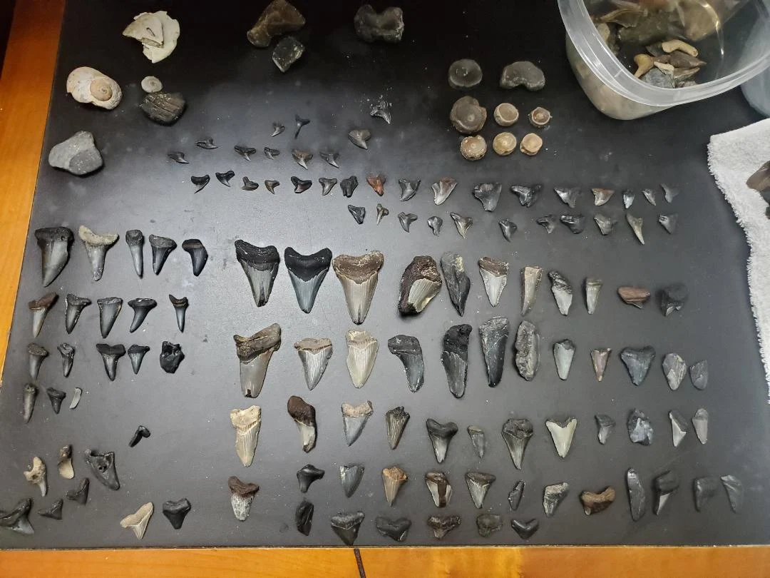 Best Day Hunting Yet!!! | Scrolller