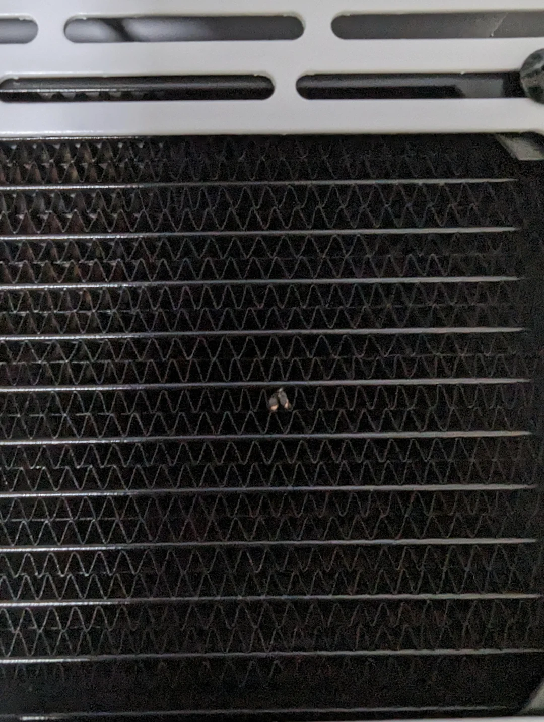 Squashed fins on rad | Scrolller