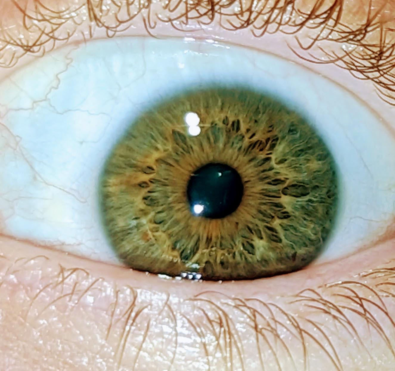 What colour is this classified as? Hazel? | Scrolller