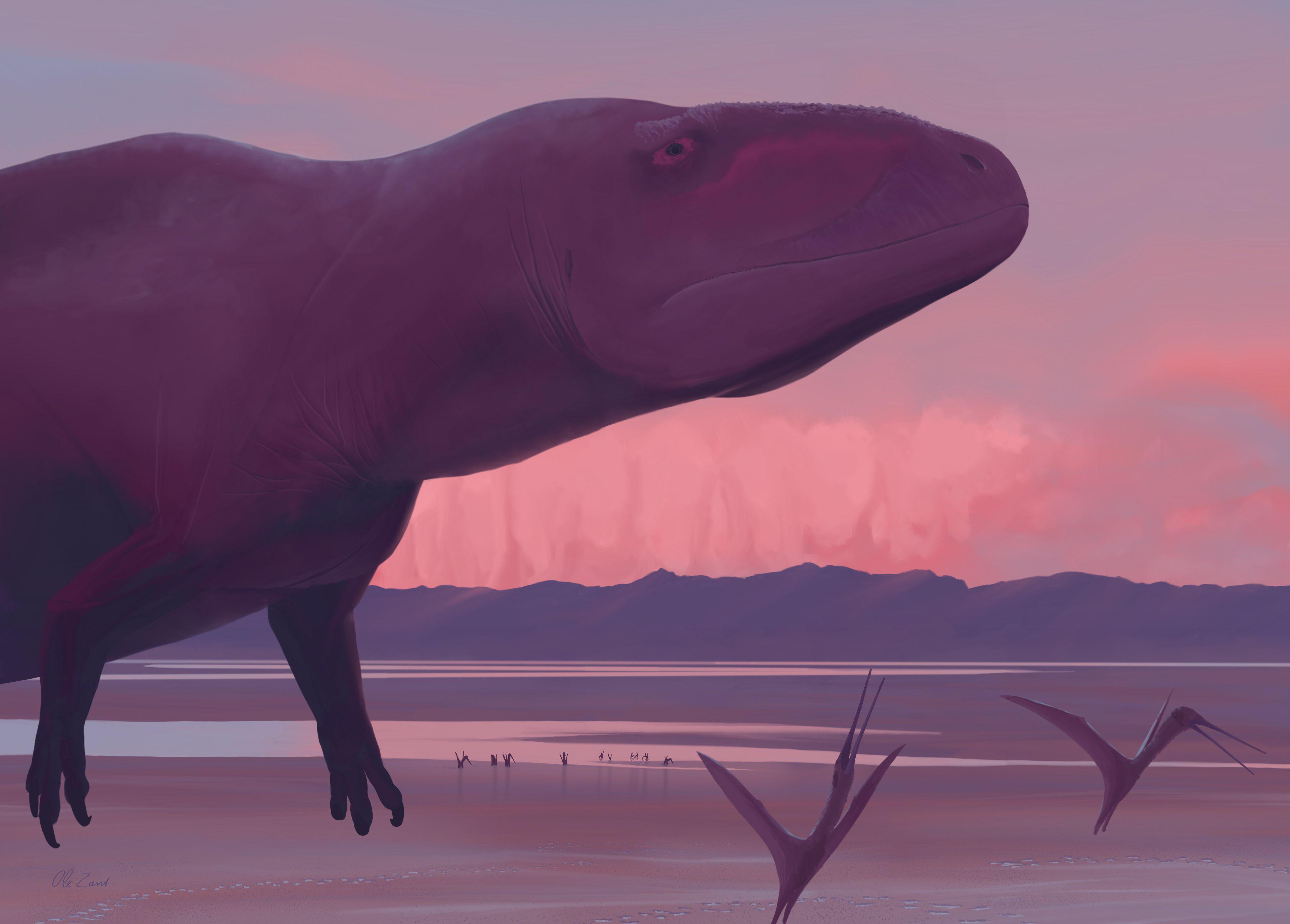 A Carcharodontosaurus under a sunset | Scrolller