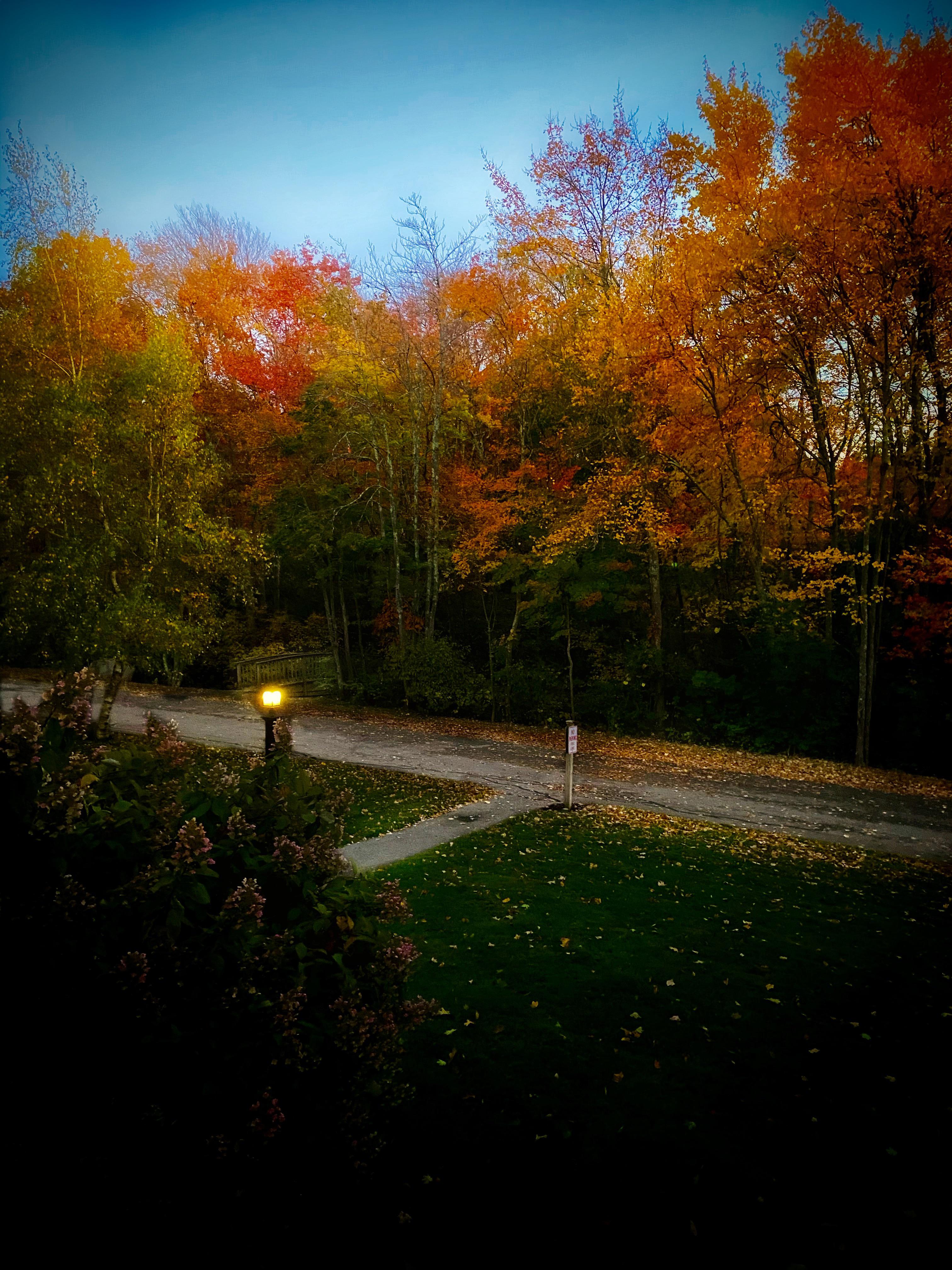 📸 Massachusetts | Scrolller