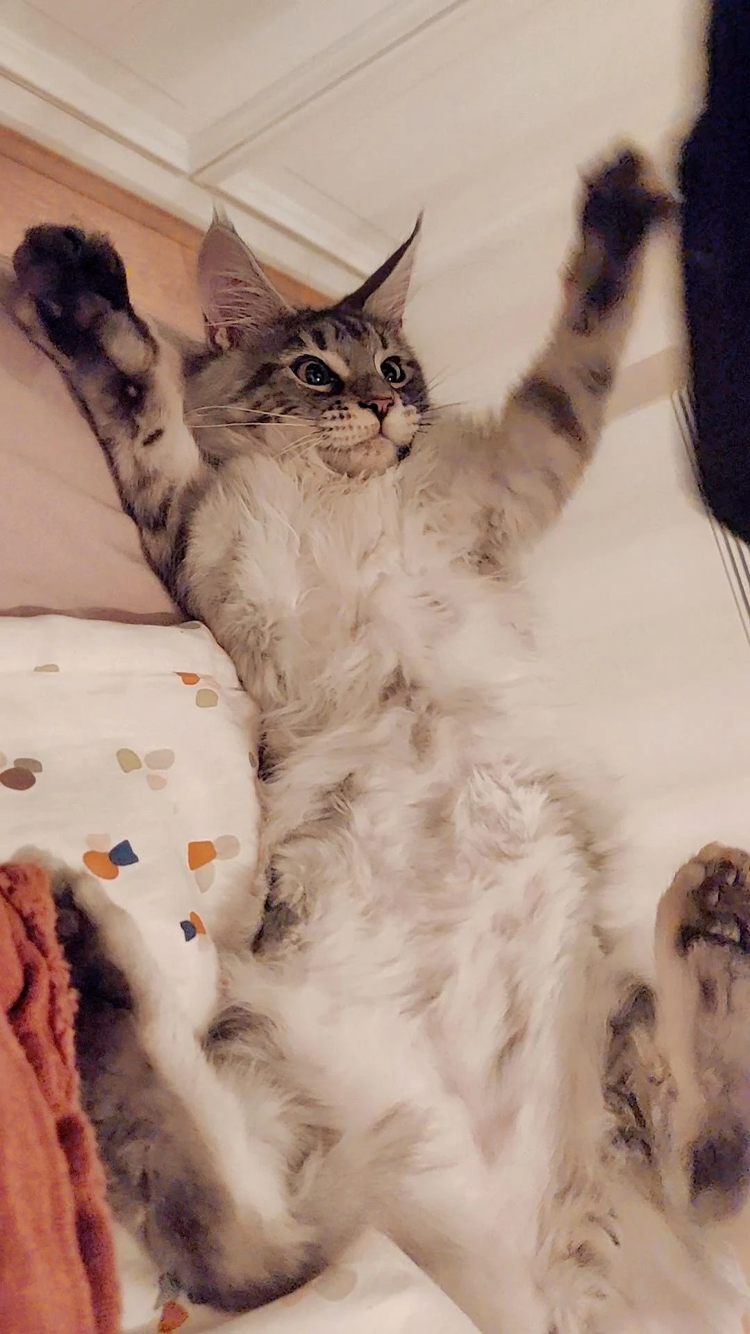 Love her face ~ | Scrolller