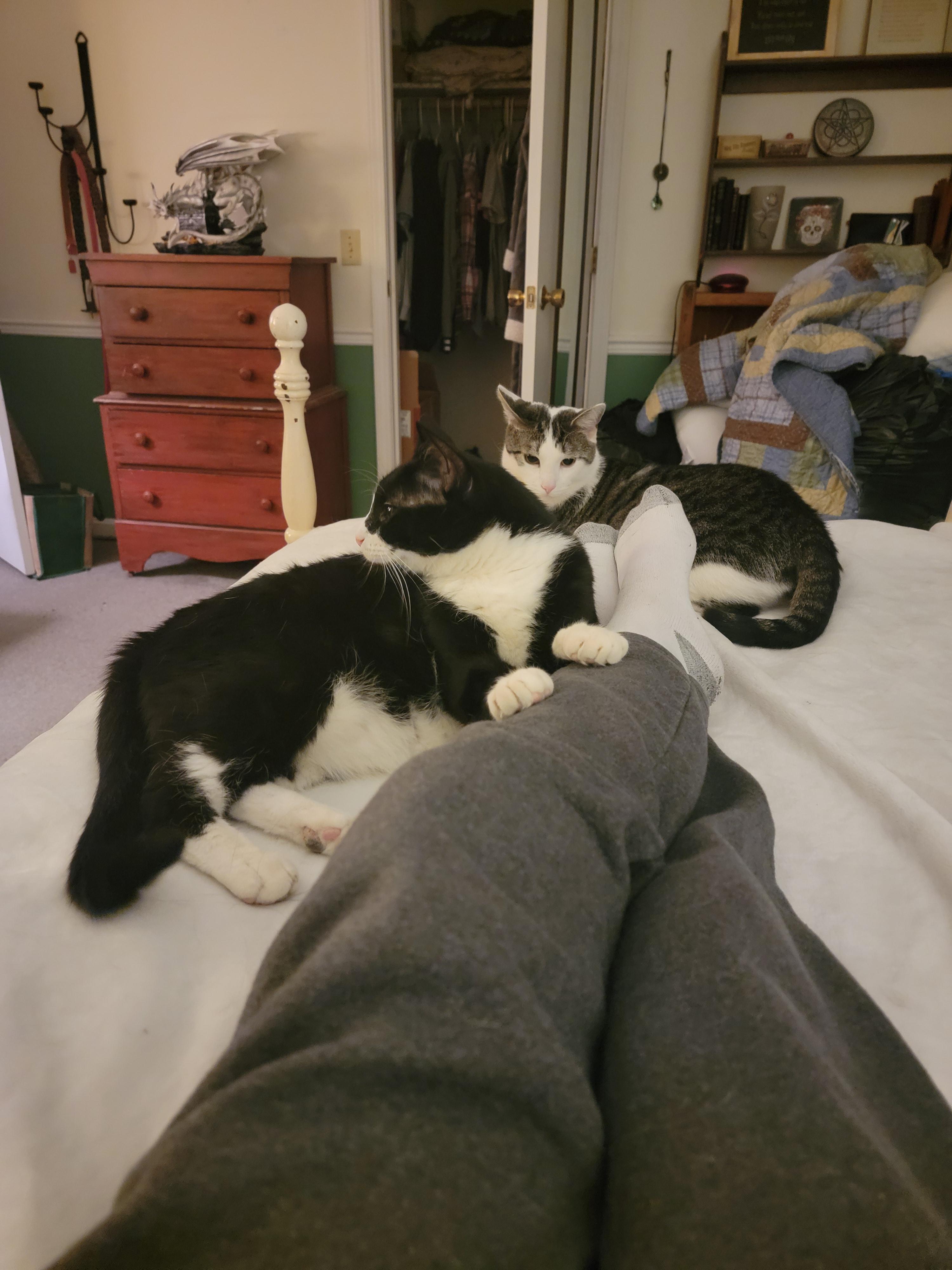 uncle just made noise and scared them awake lol | Scrolller