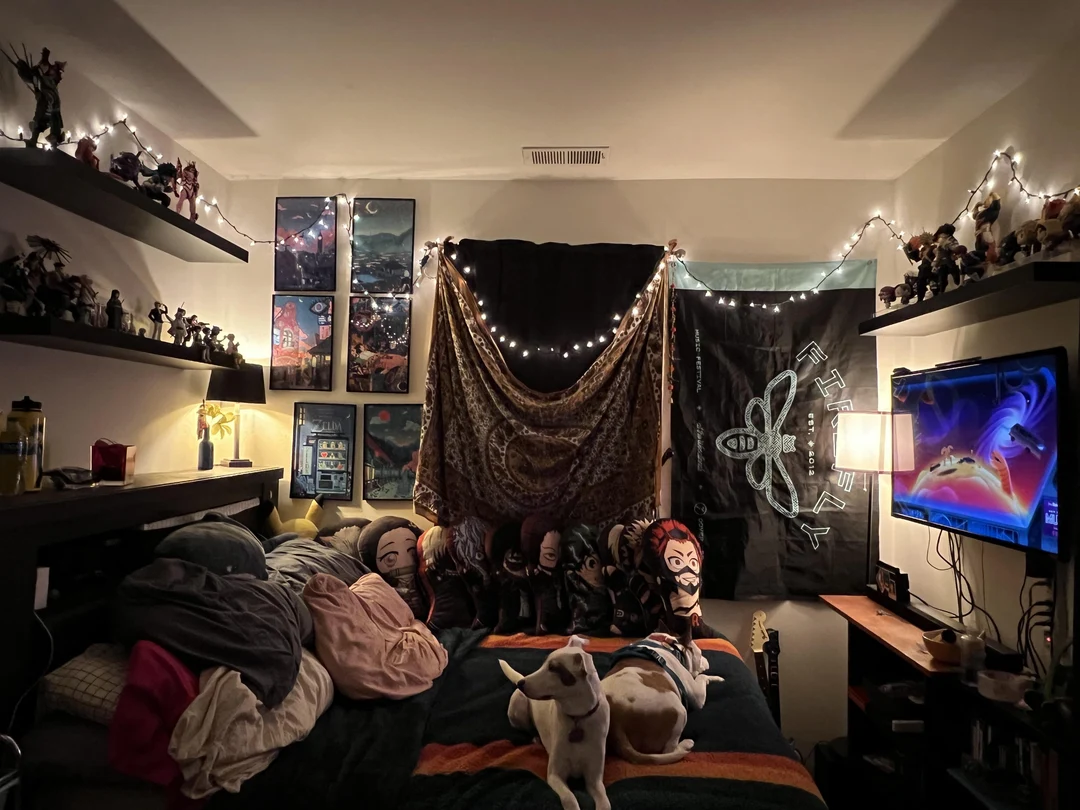 Finally really settling in to the new apartment | Scrolller