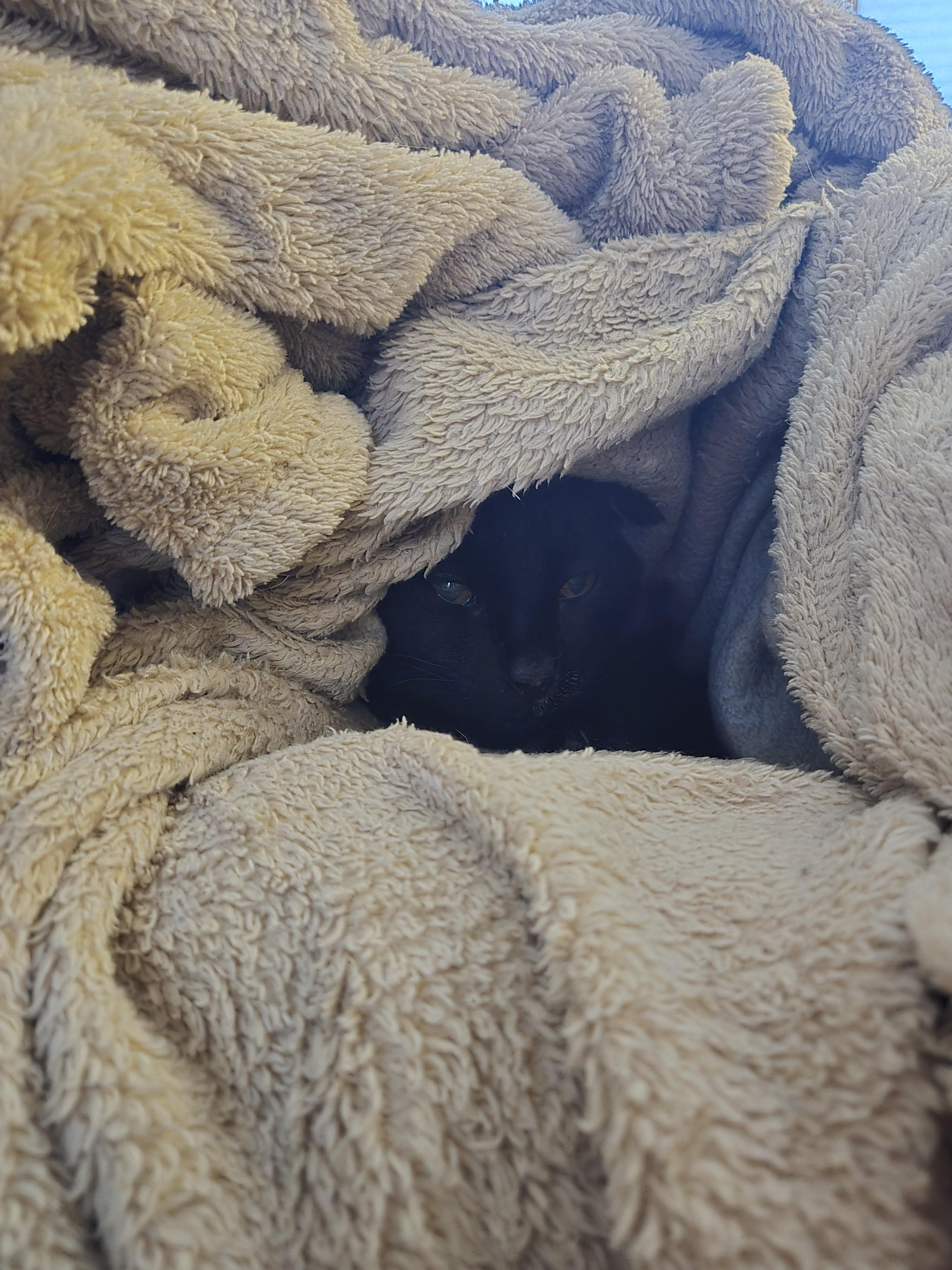 Typical for this little void. | Scrolller