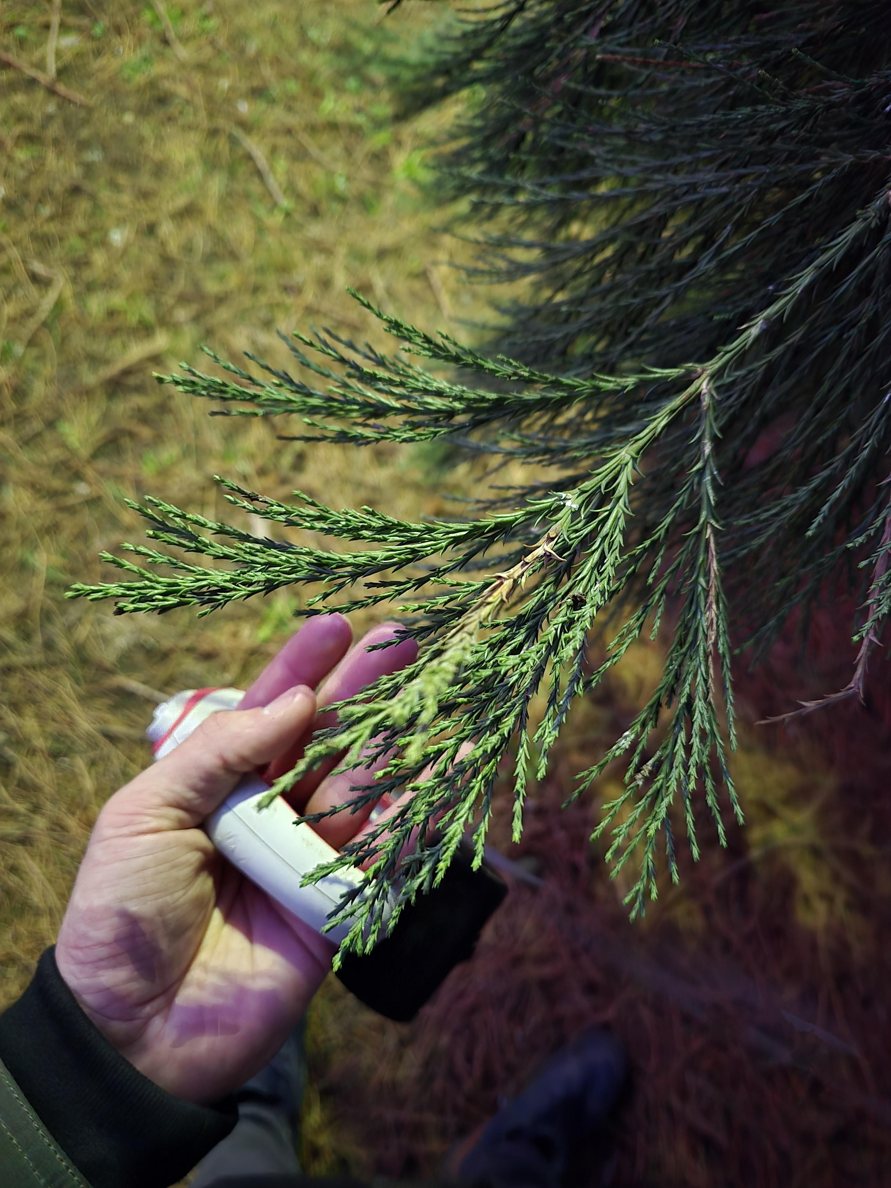 Who is this majestic creature? | Scrolller