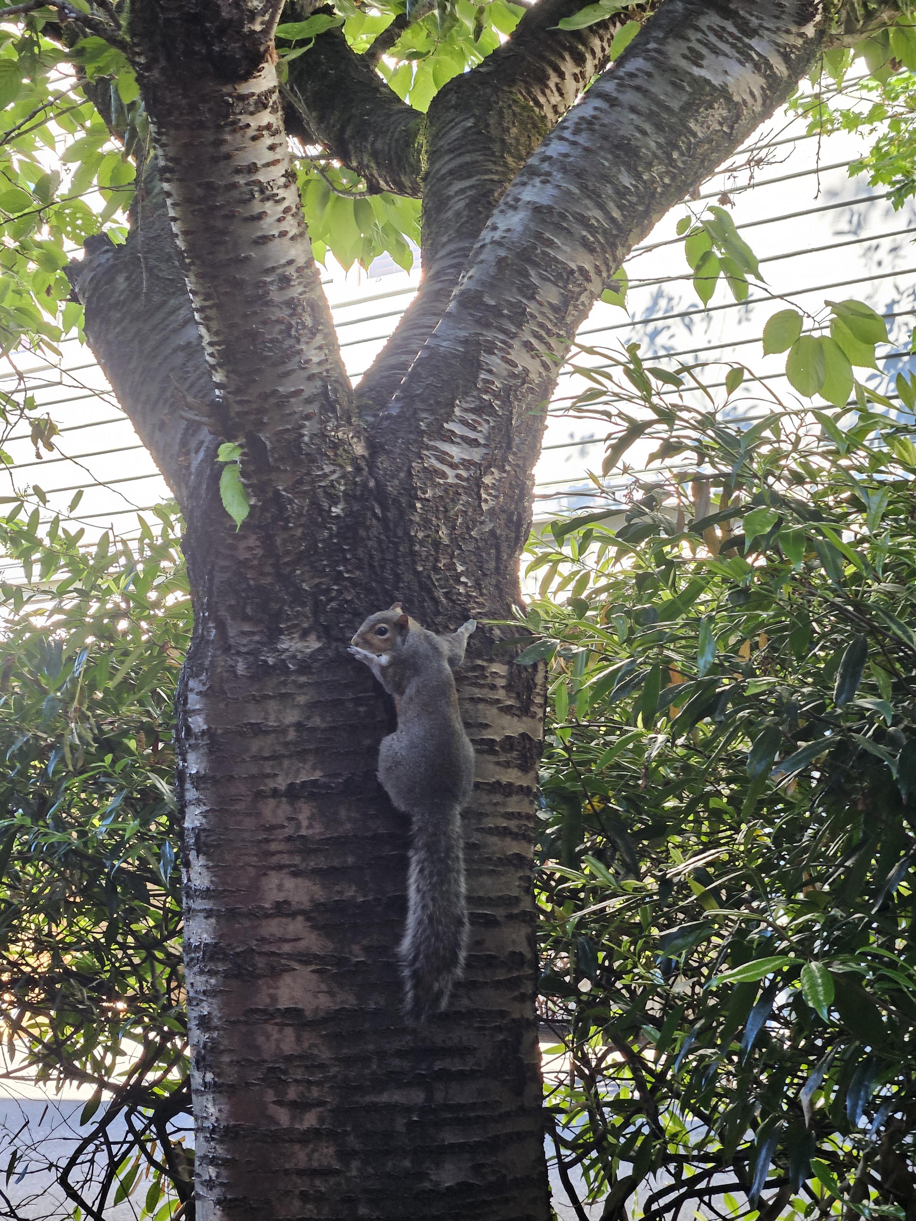 Tiny Dancer is all grown up and just like her mama. | Scrolller