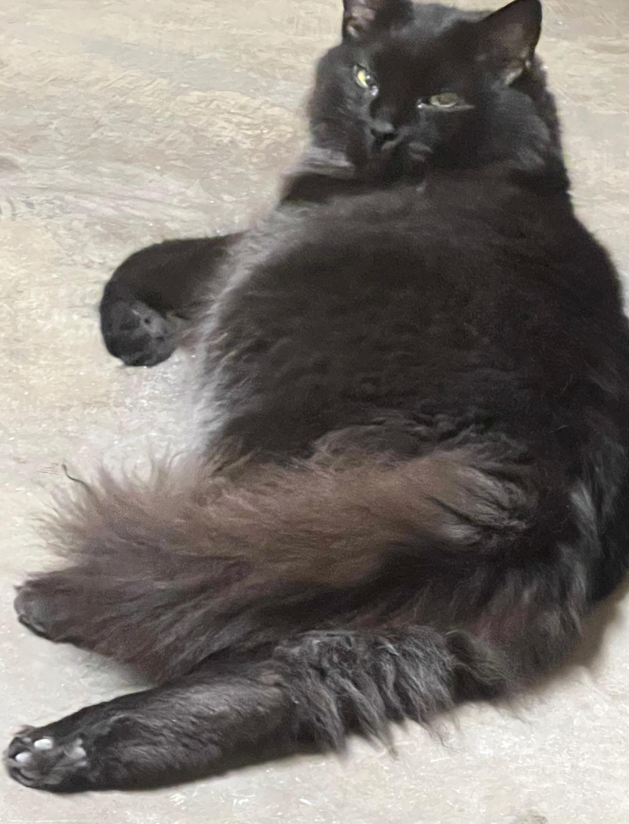 Smokey void | Scrolller