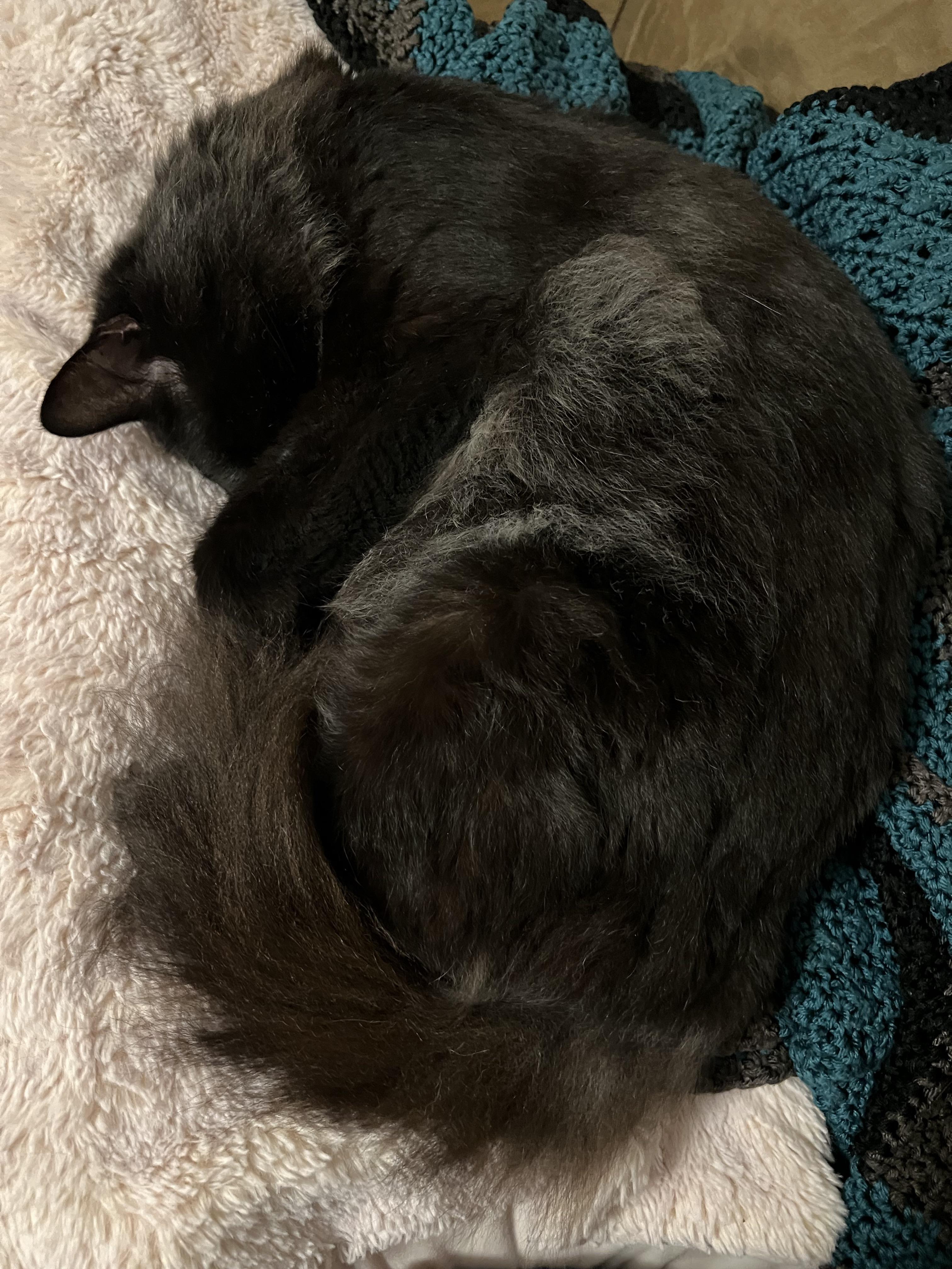 Smokey void | Scrolller