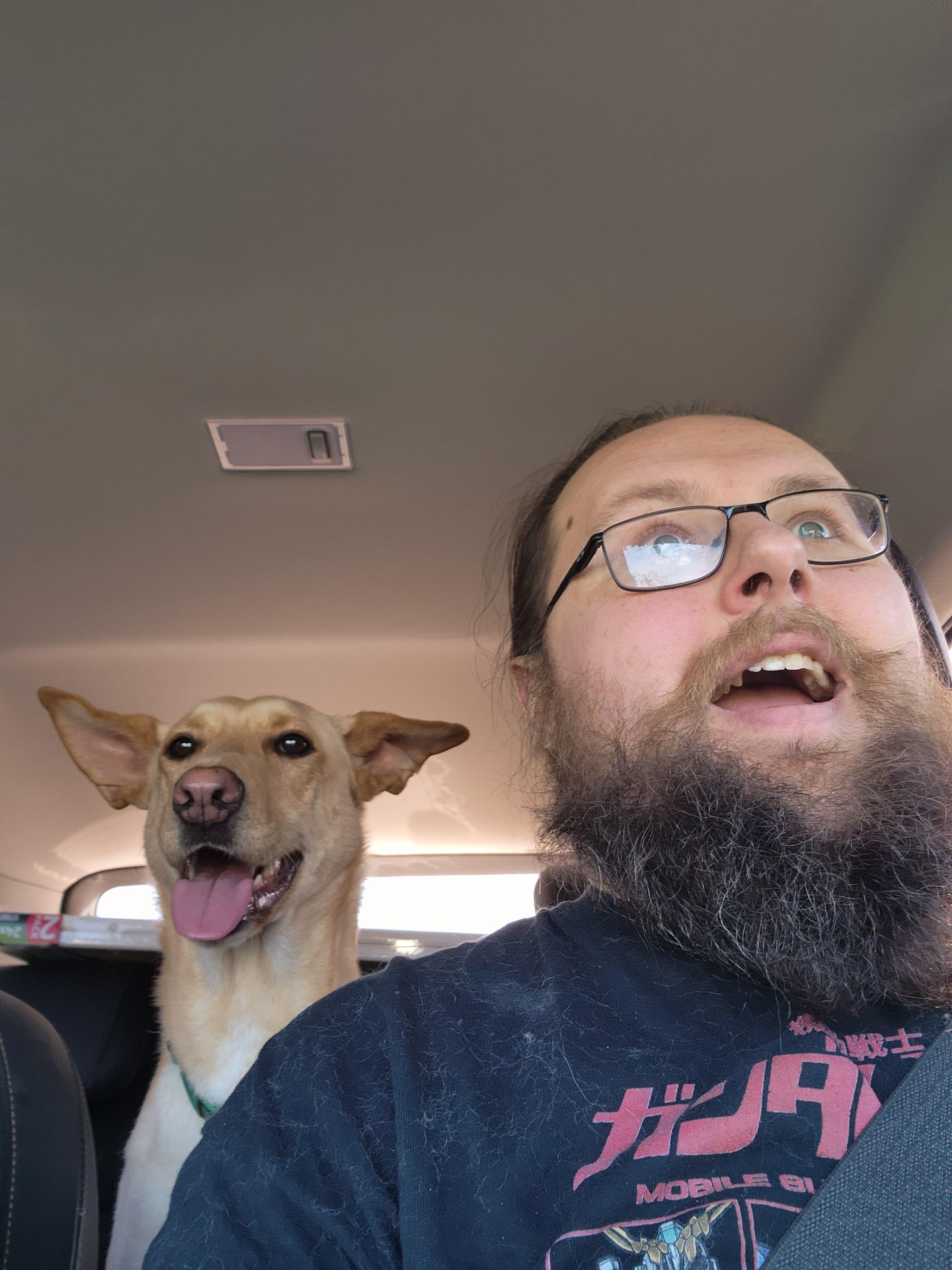 Road trip buddies | Scrolller