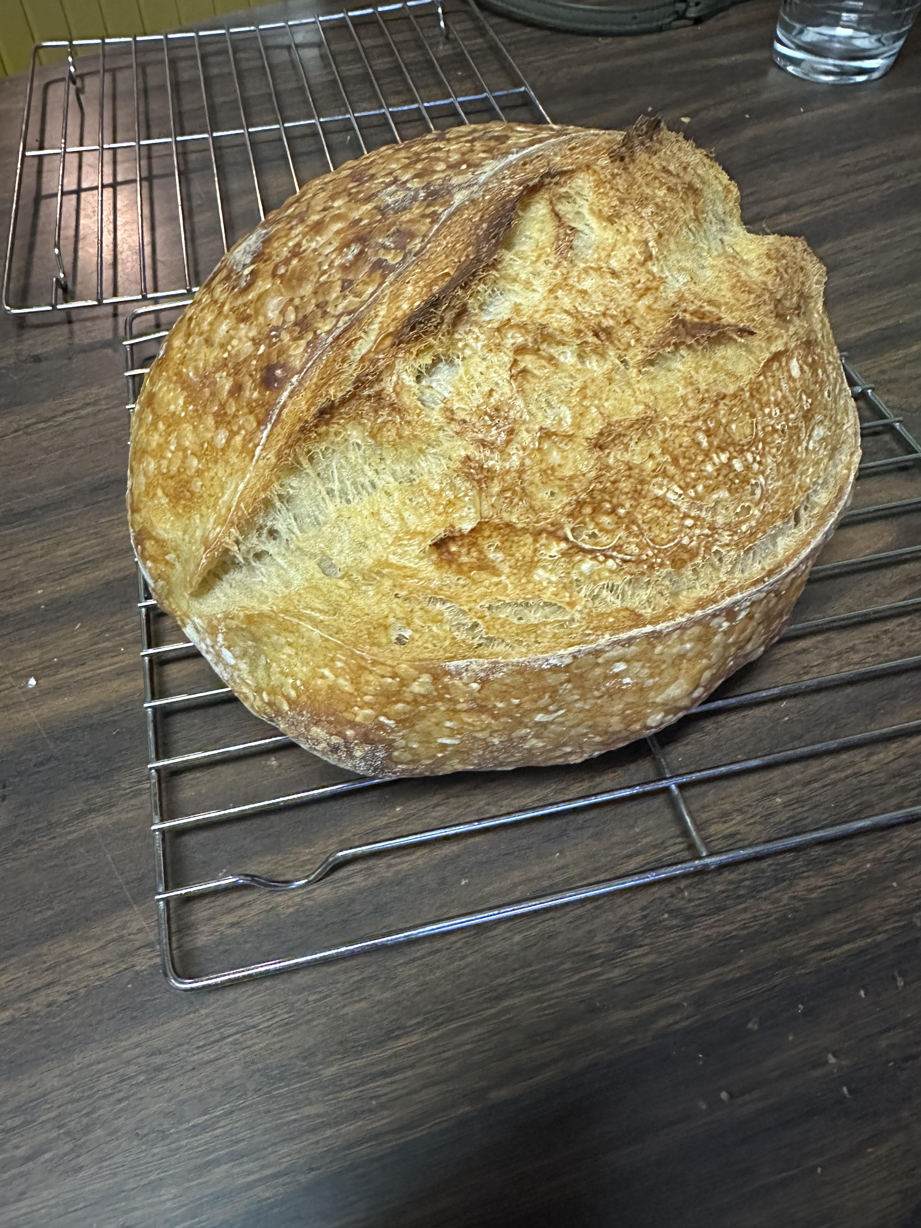 First loaf ever | Scrolller