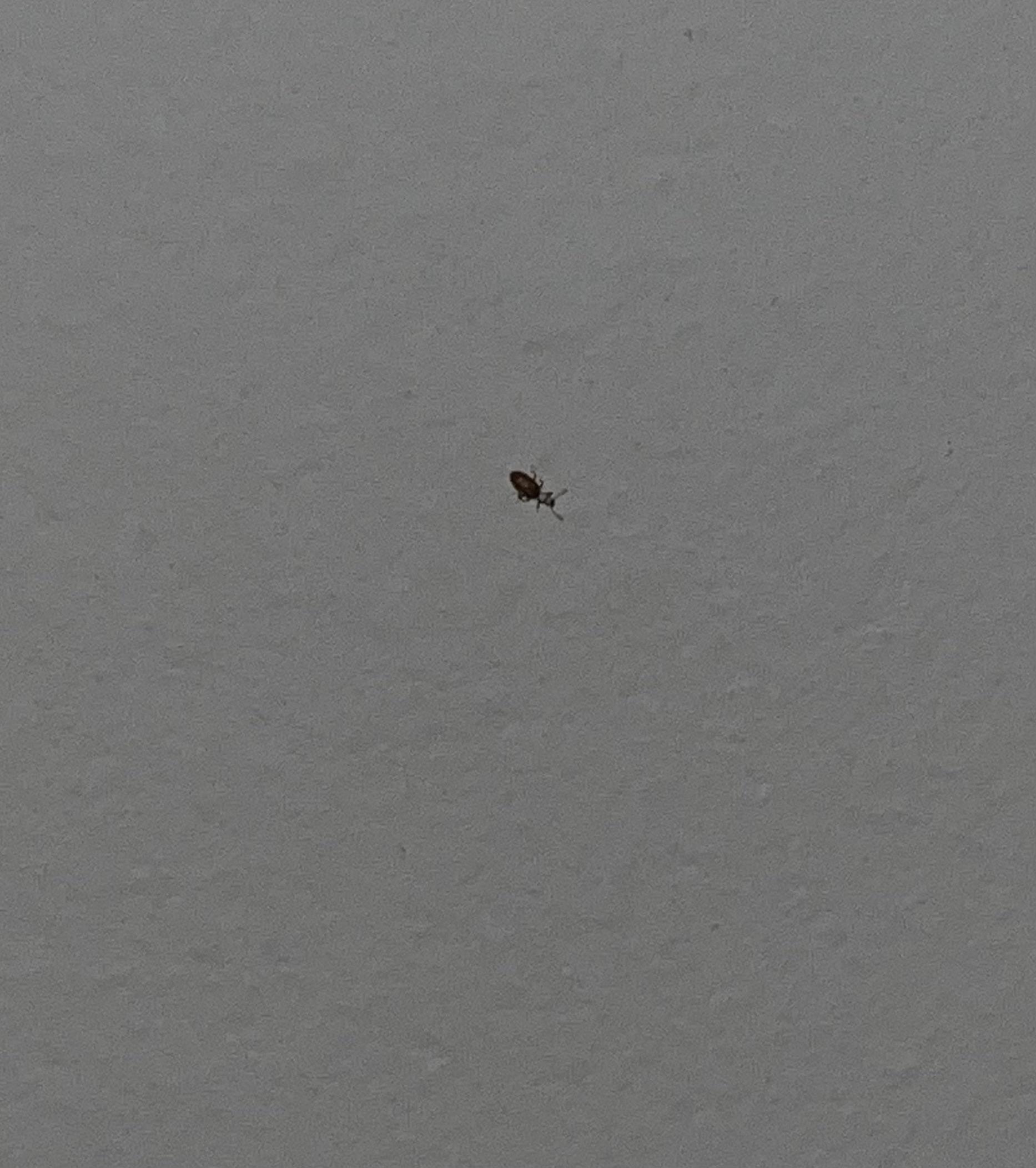 Help IDing | Scrolller