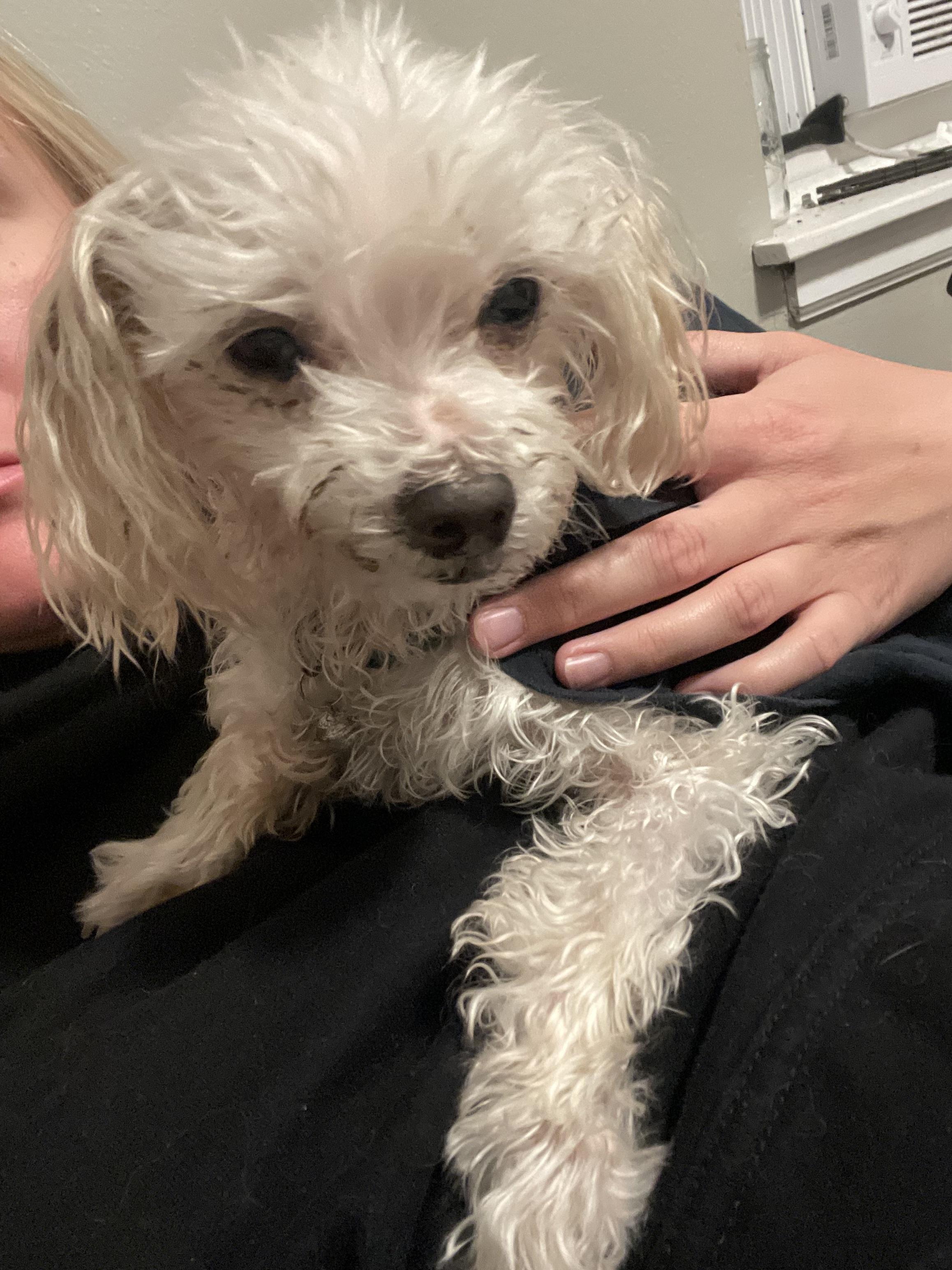 Prayers for Bella | Scrolller