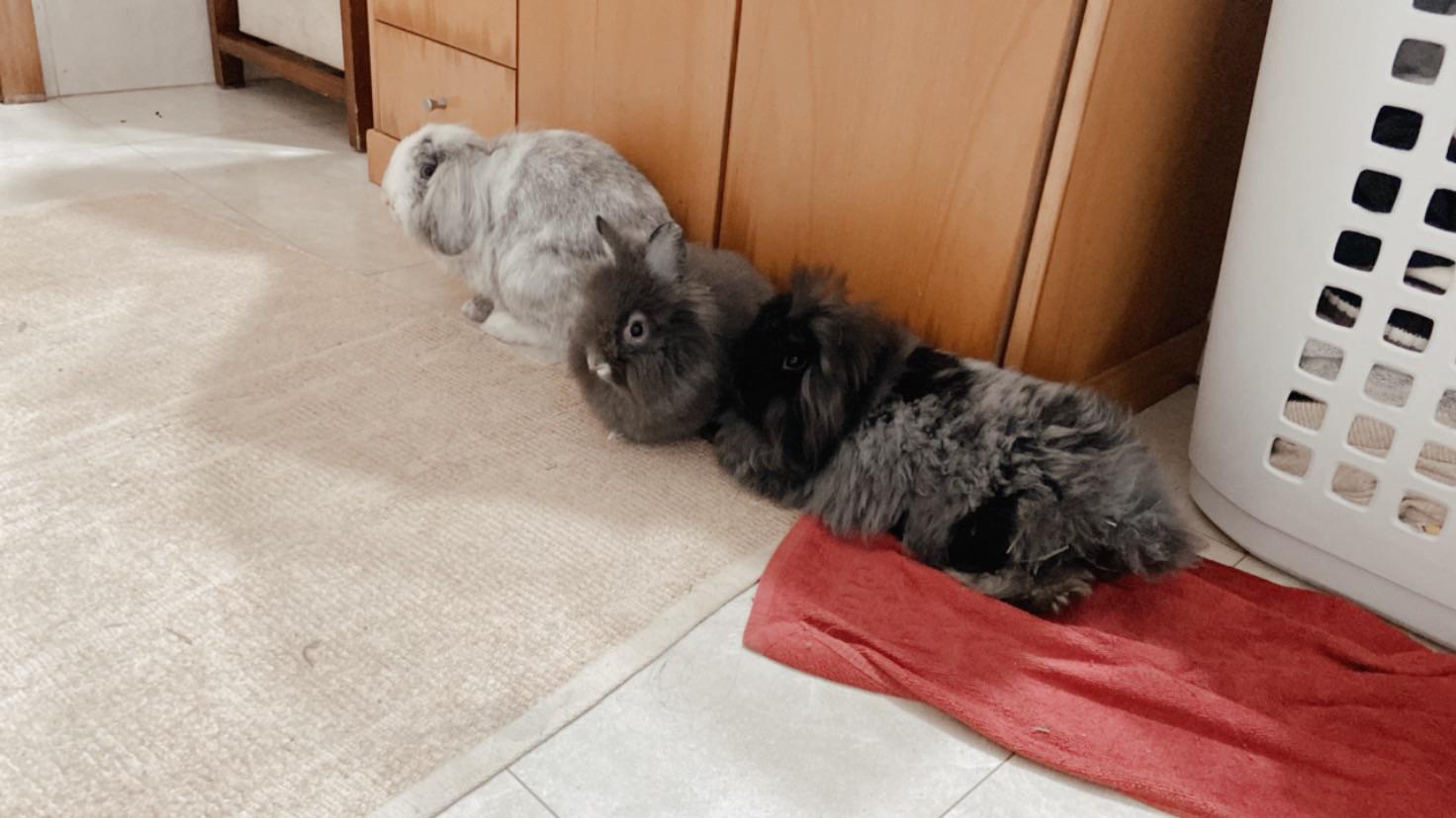 Bonding achievenent | Scrolller