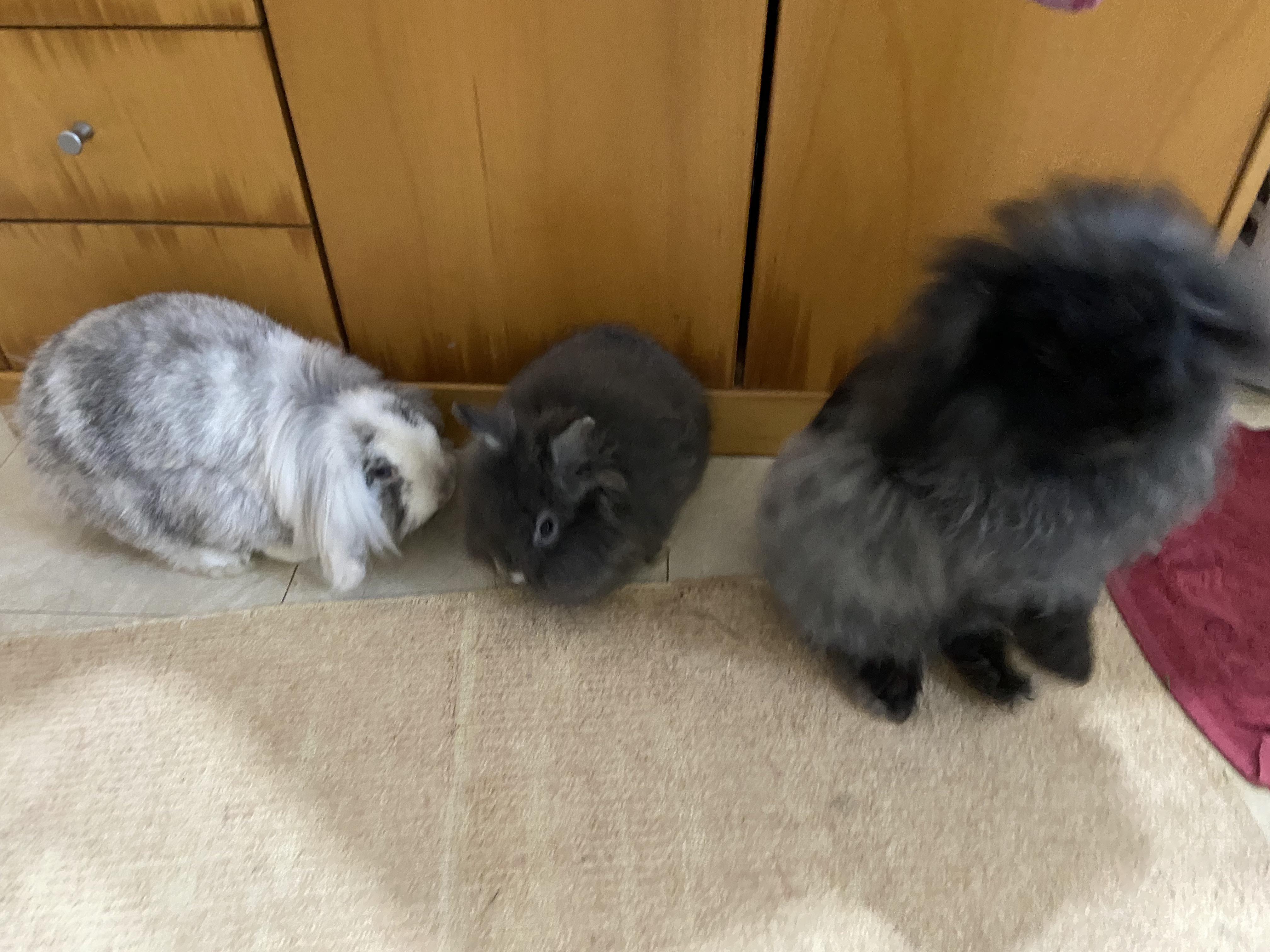 Bonding achievenent | Scrolller