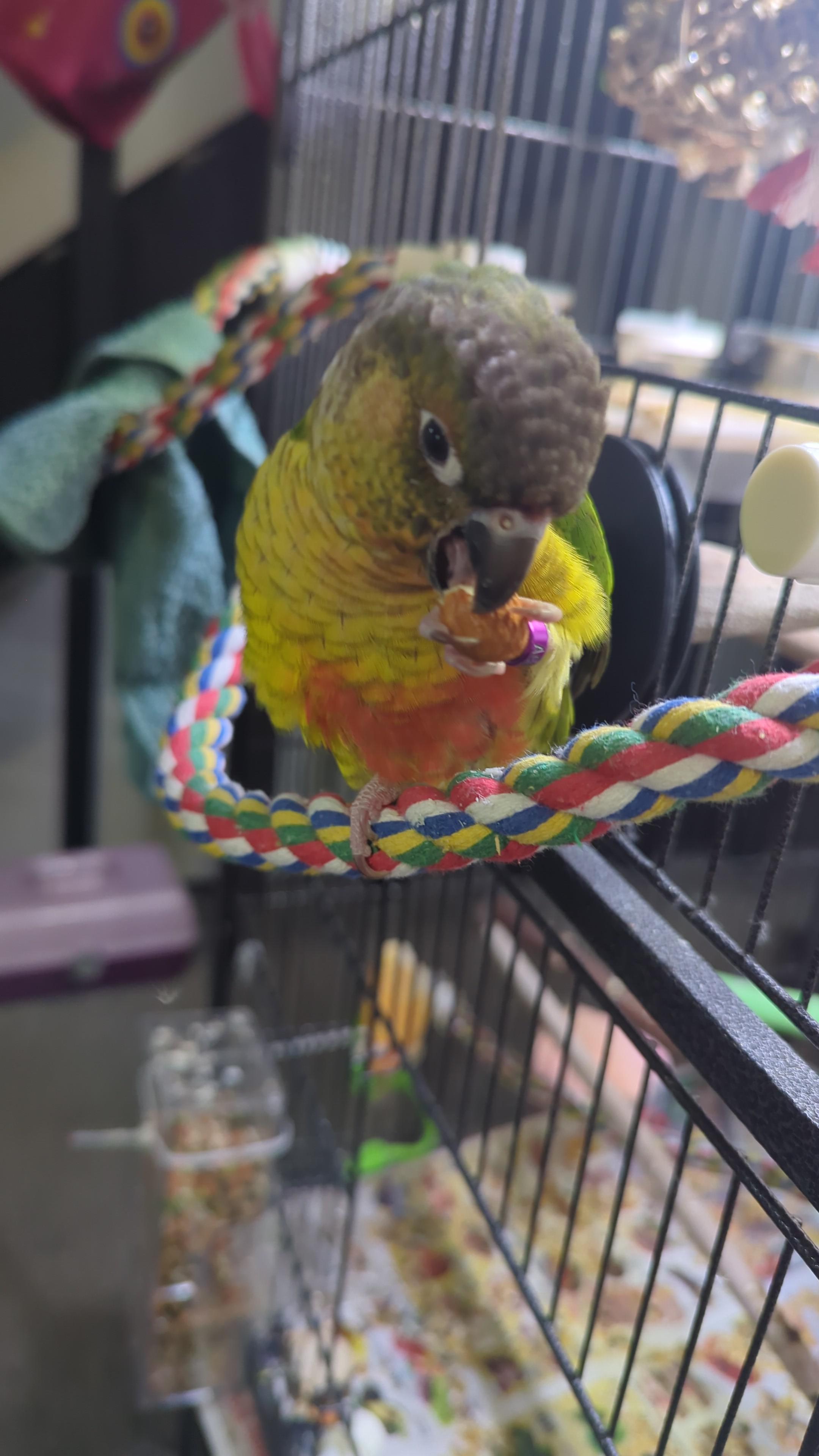 The great almond robbery. | Scrolller