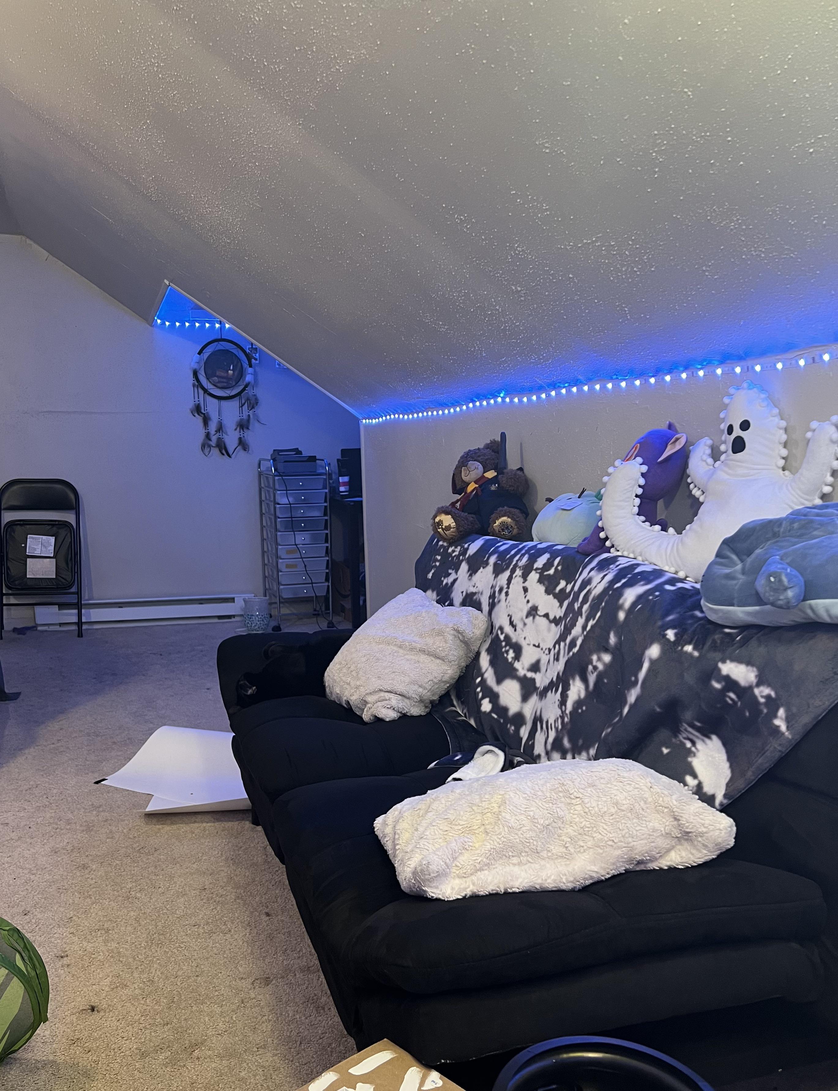 Master of disguise | Scrolller