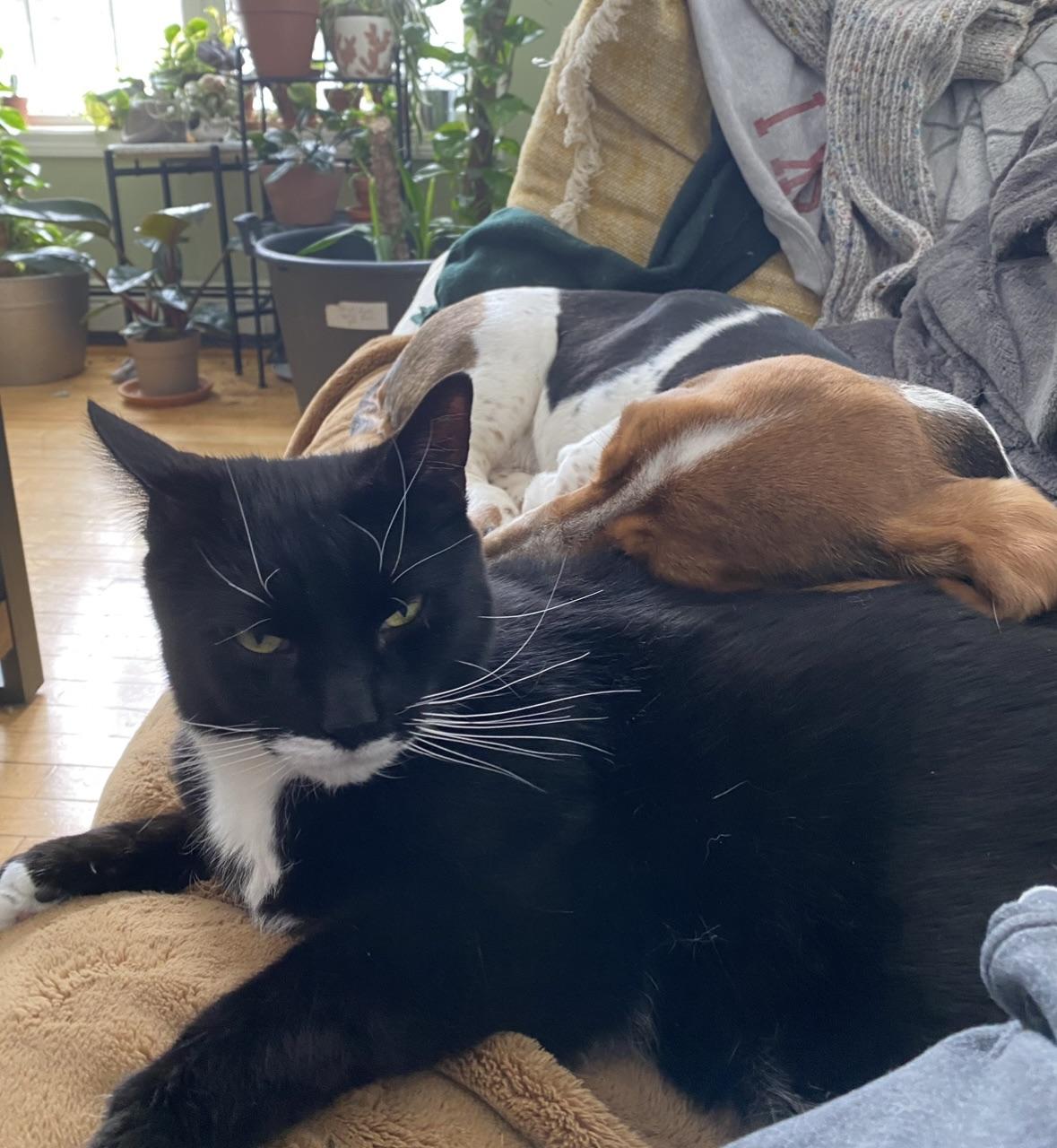 Throwback | Scrolller