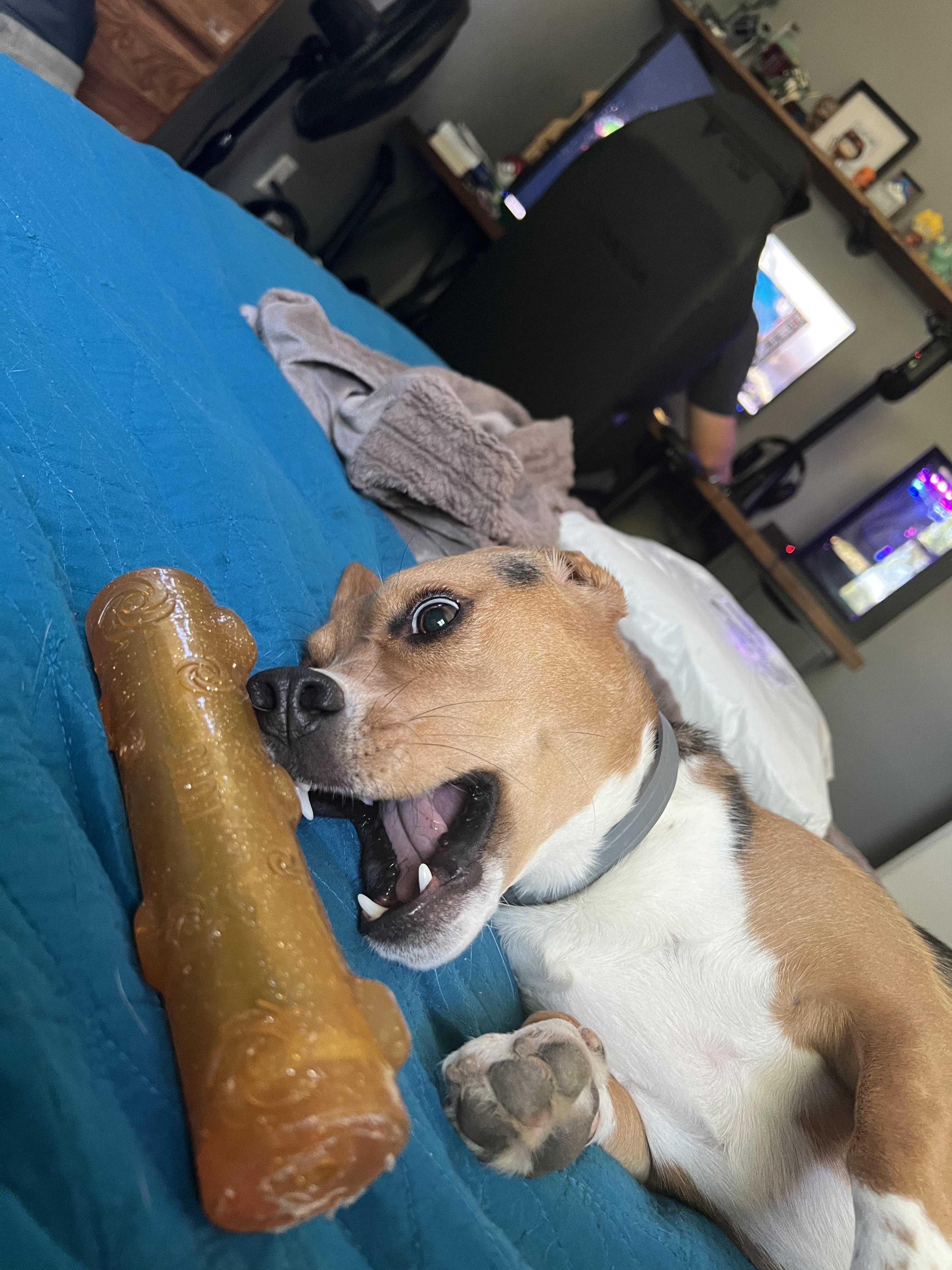 Mags and her derp stick. | Scrolller
