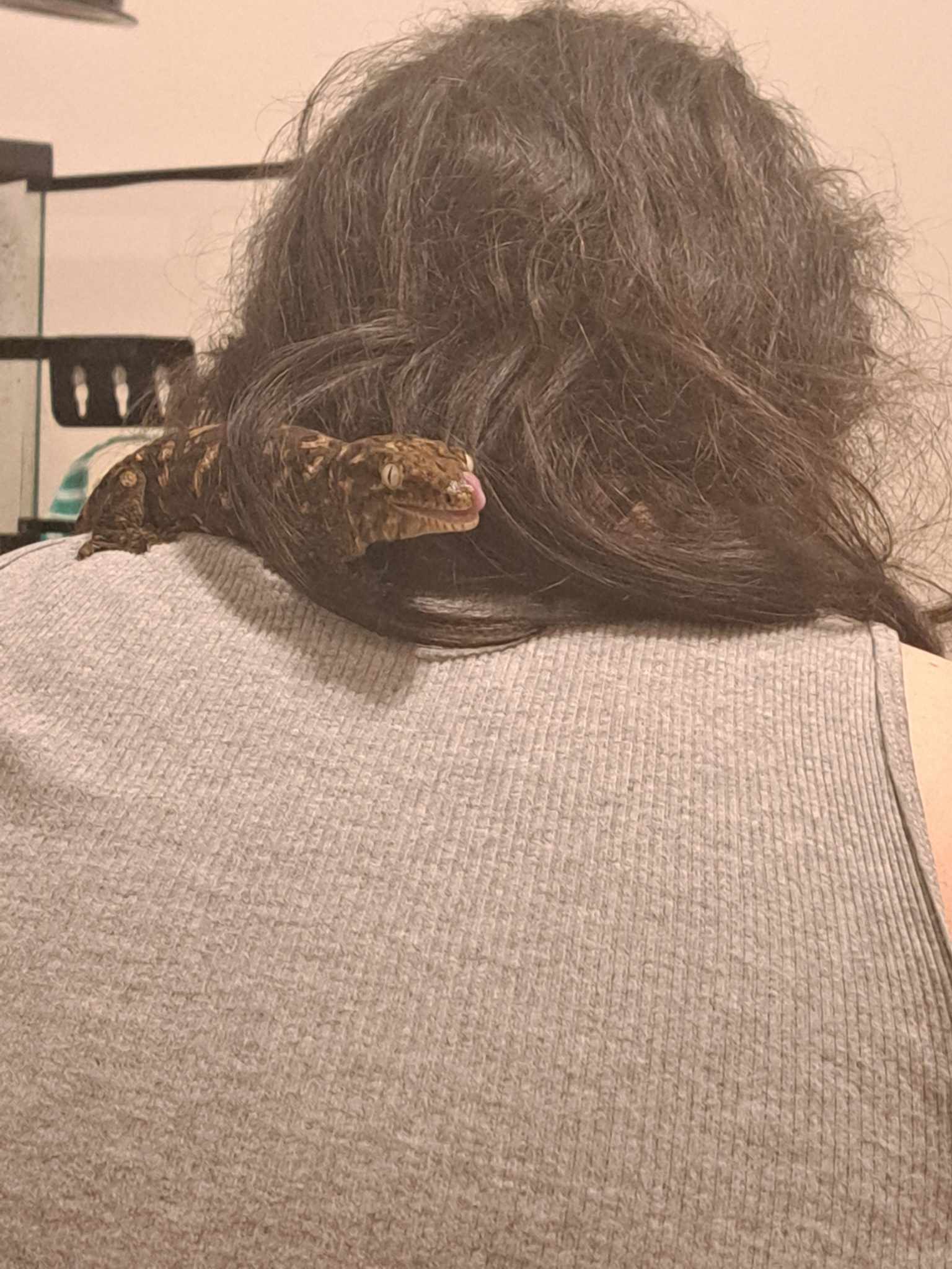 Little explorer | Scrolller