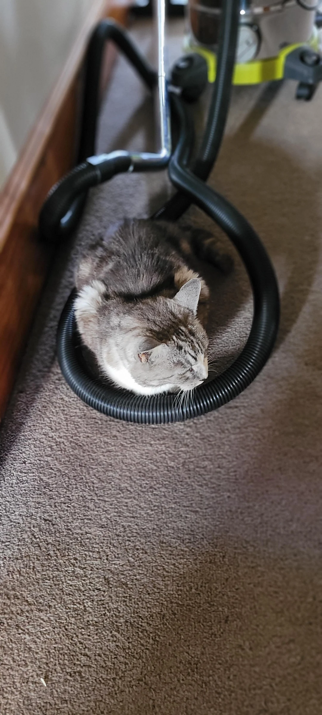 I don't know why she likes this but it's working. | Scrolller