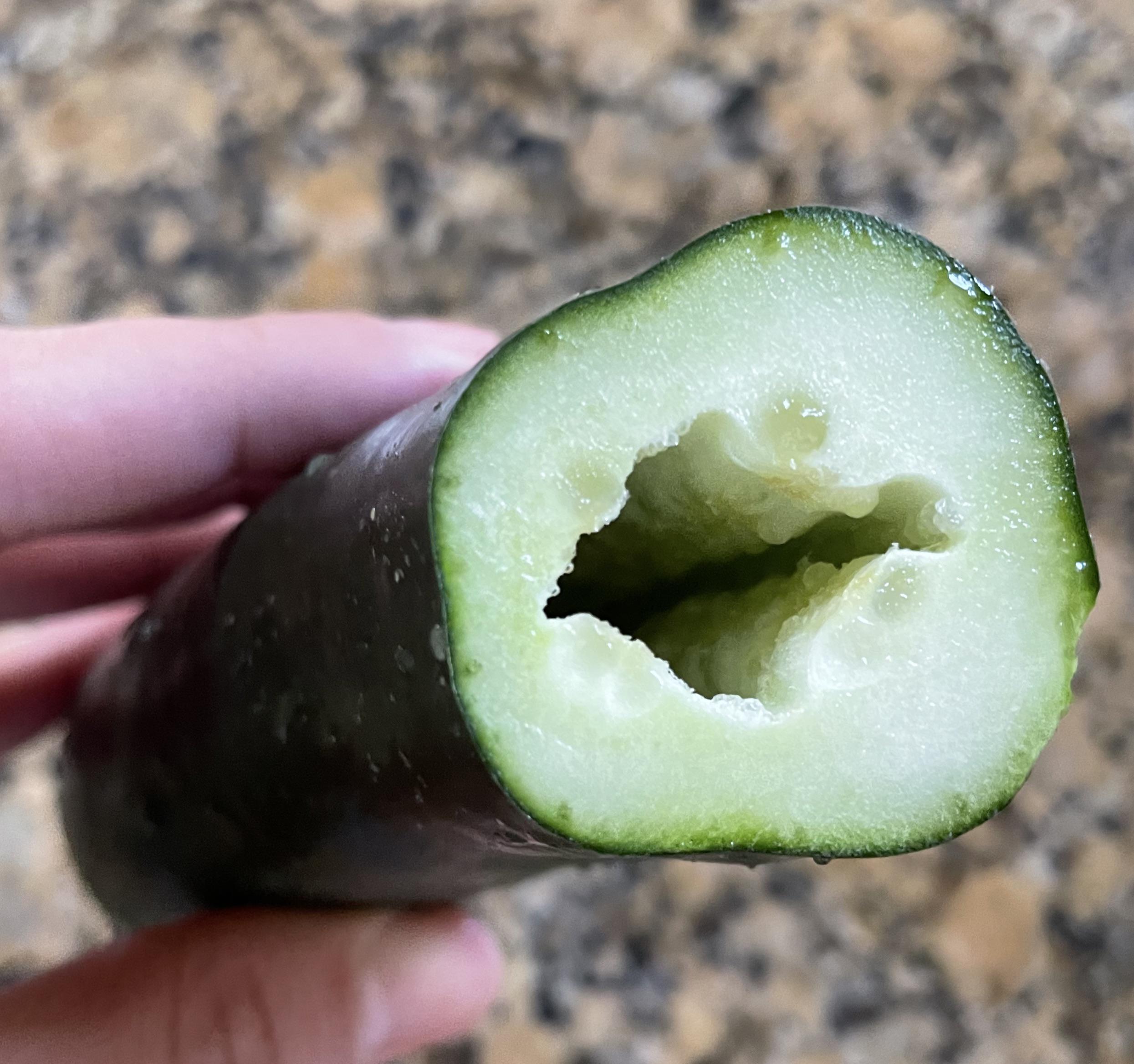 Hollow cucumber | Scrolller