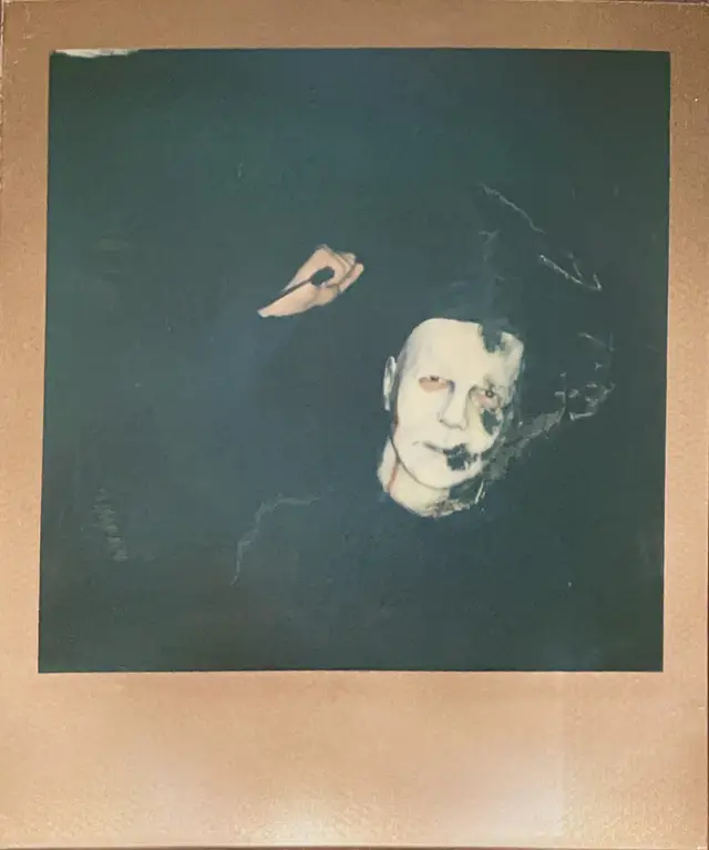 Michael Myers Polaroid 2021 | Scrolller