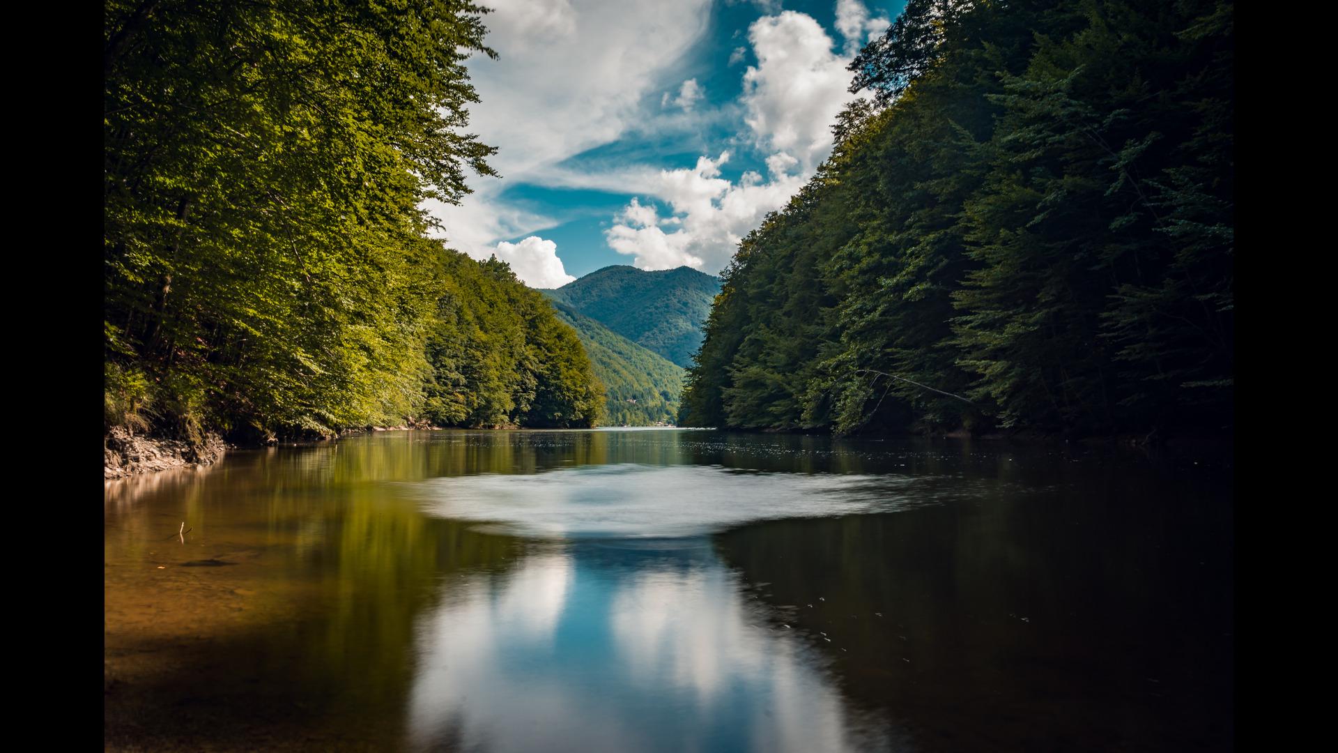 [1920x1080] Lake forest | Scrolller