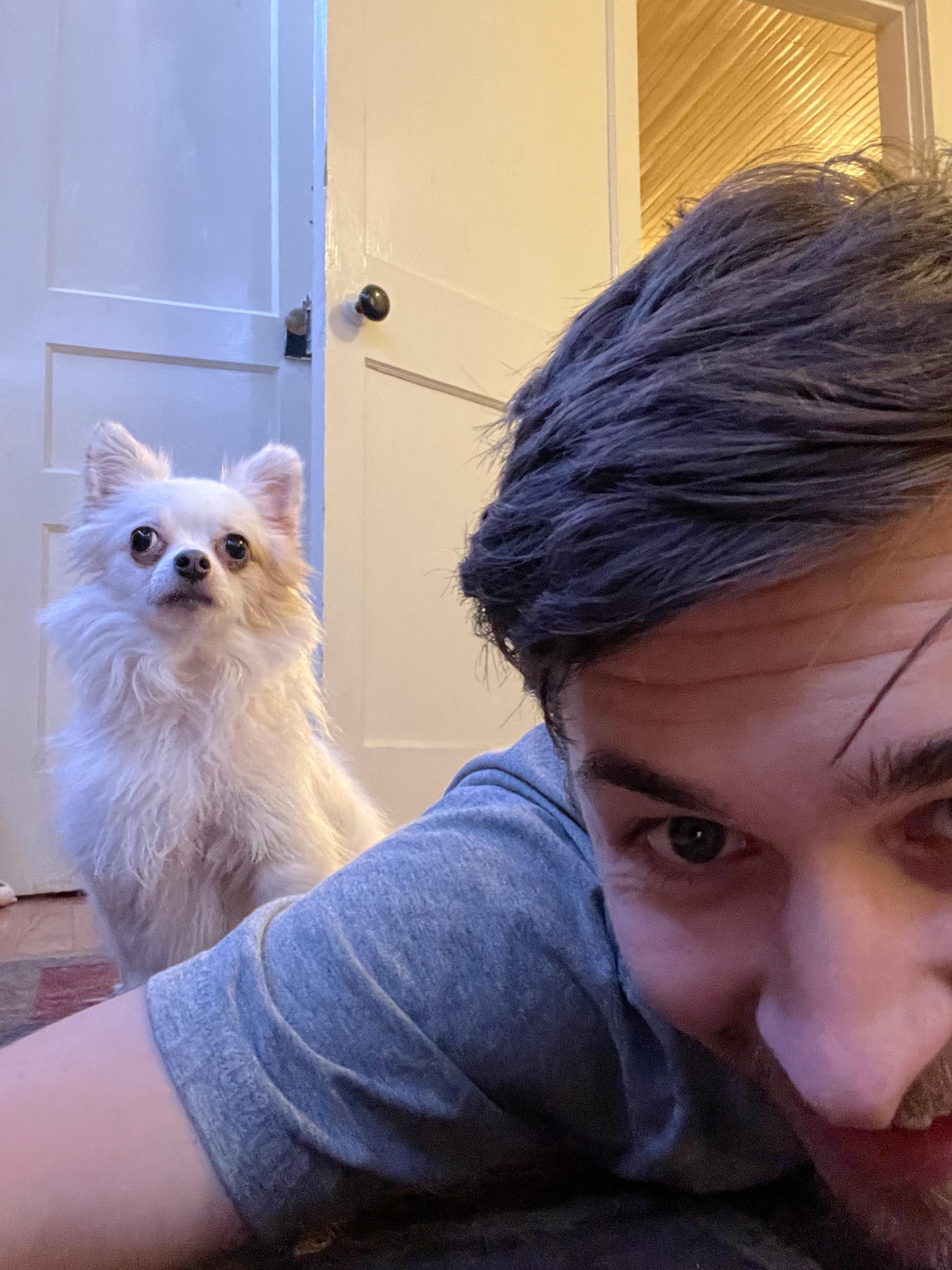 Freshly showered derp! | Scrolller